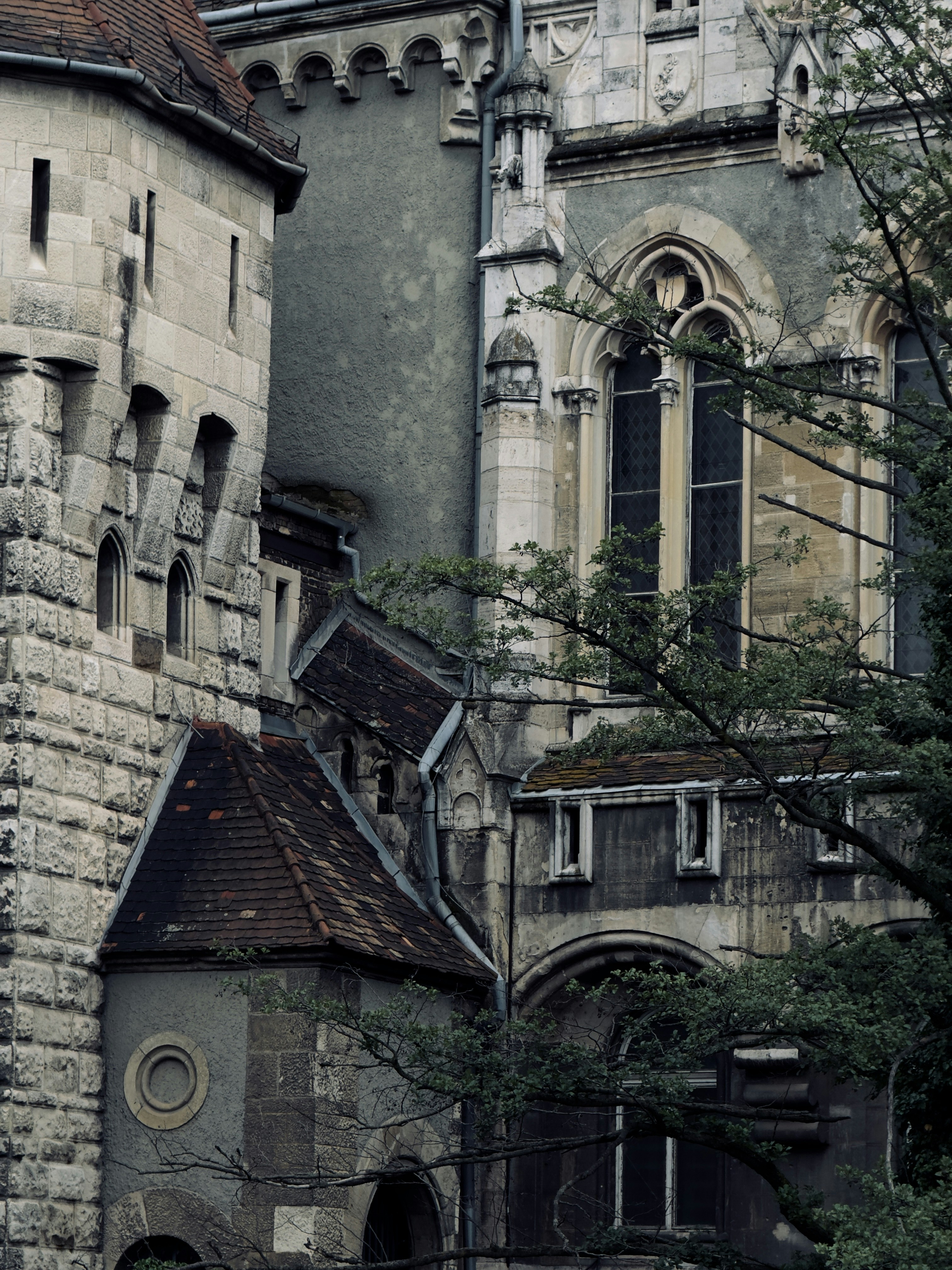 Photo by Mary Ray with Apple iPhone 15 Pro Max