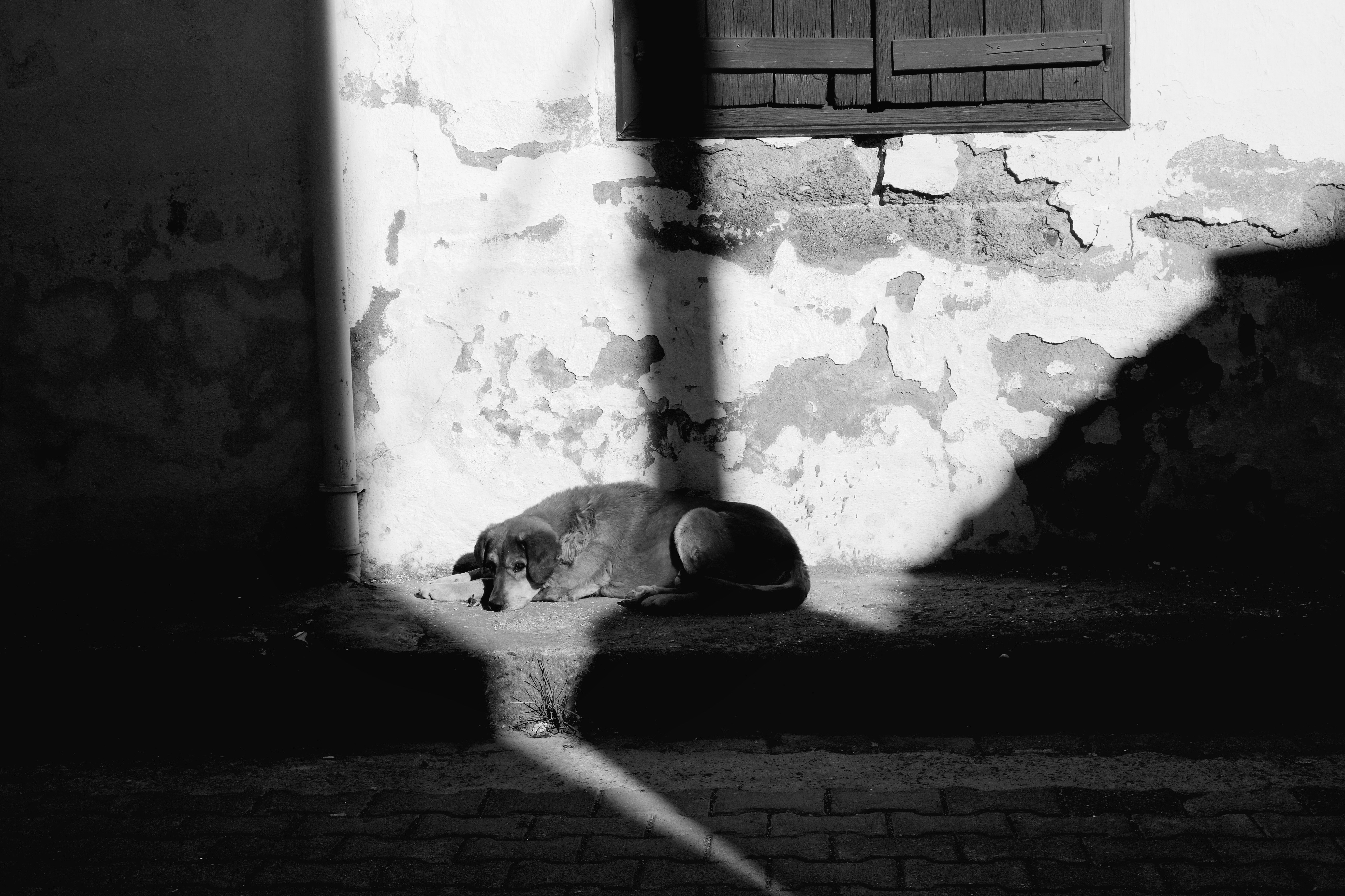 Photo by Josef Kali with Sony RX100