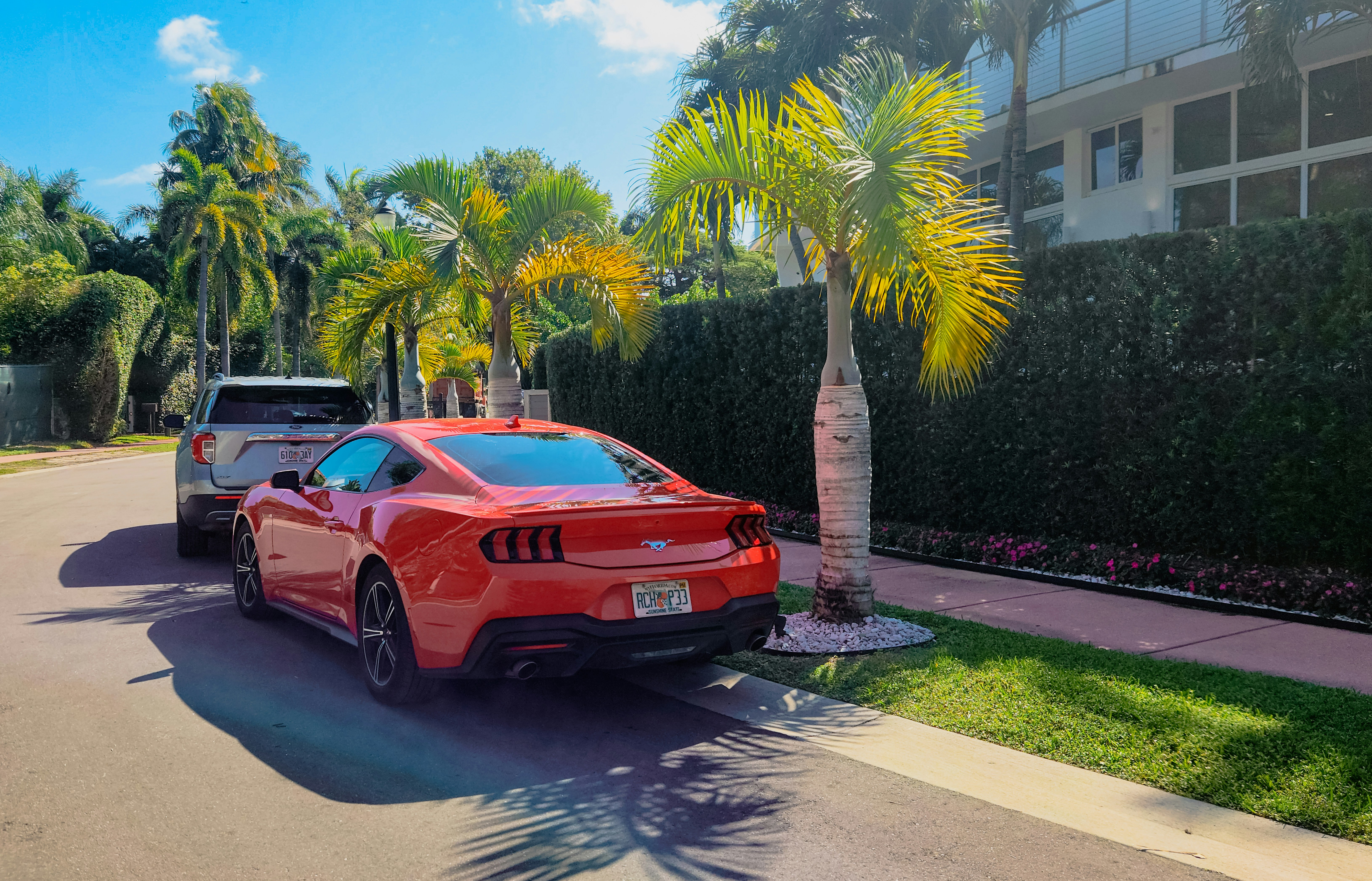 Red Ford Mustang in a sunlit tropical parking lane