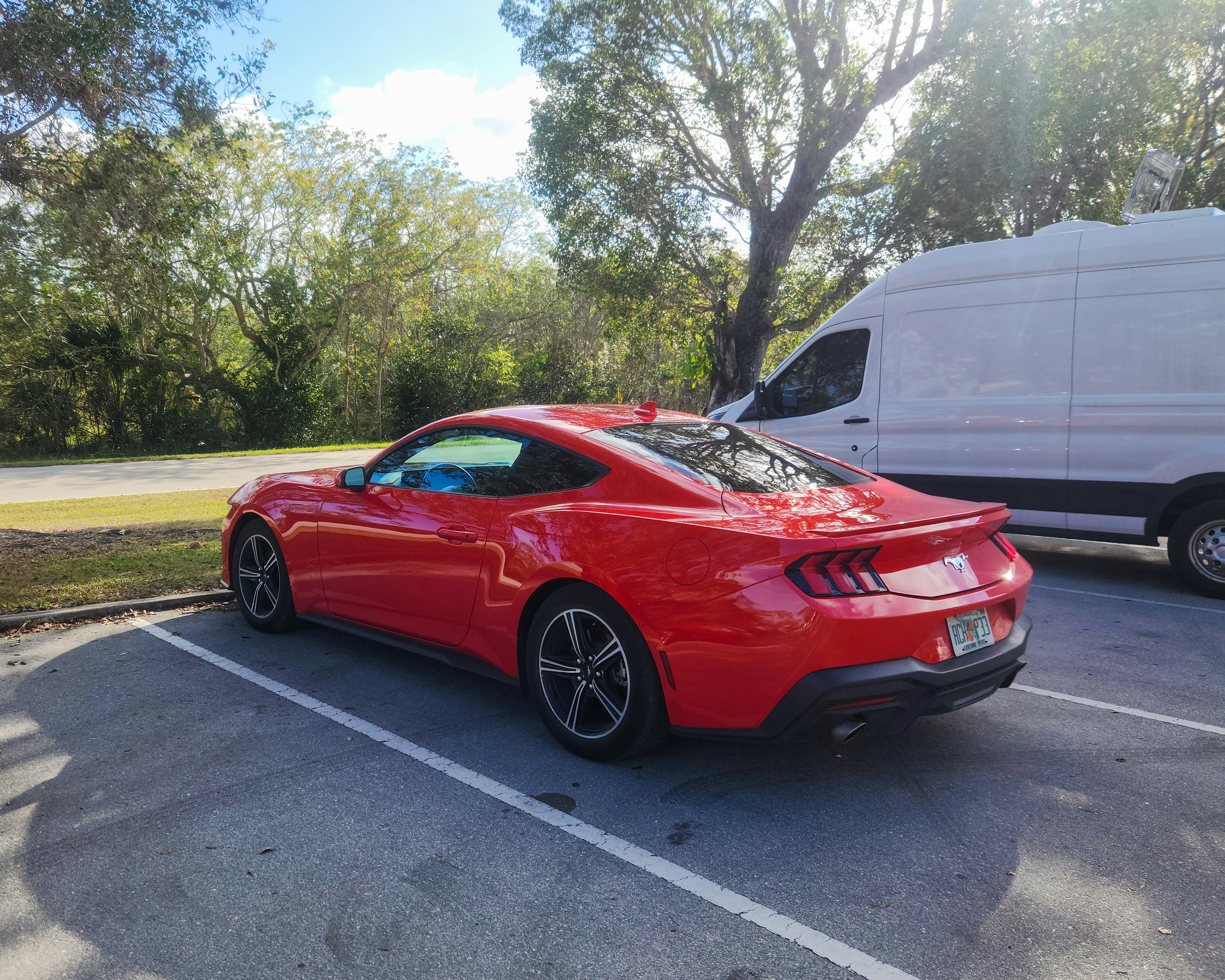 Crimson Mustang in Sunlit Parking Lot