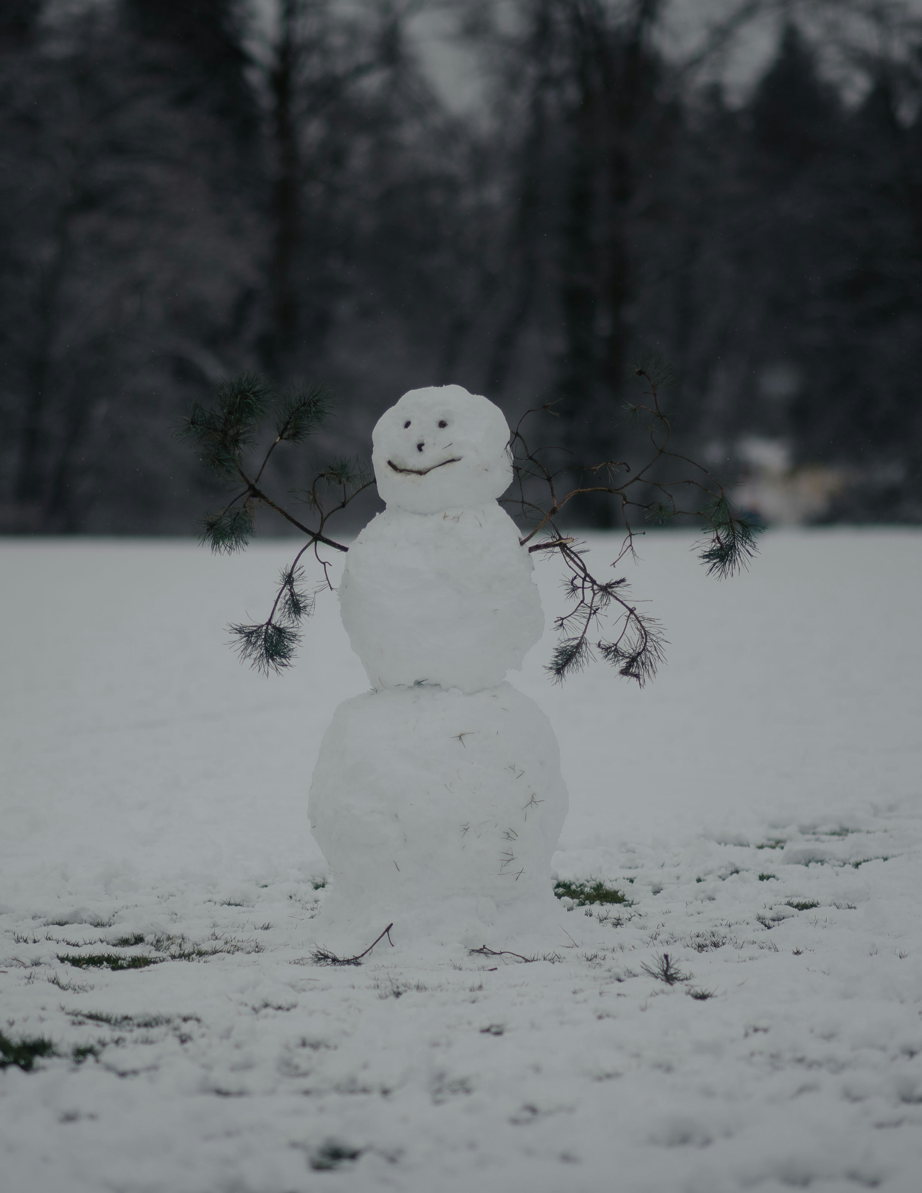 Um boneco de neve em pé no meio de um campo nevado foto – Imagem grátis ...