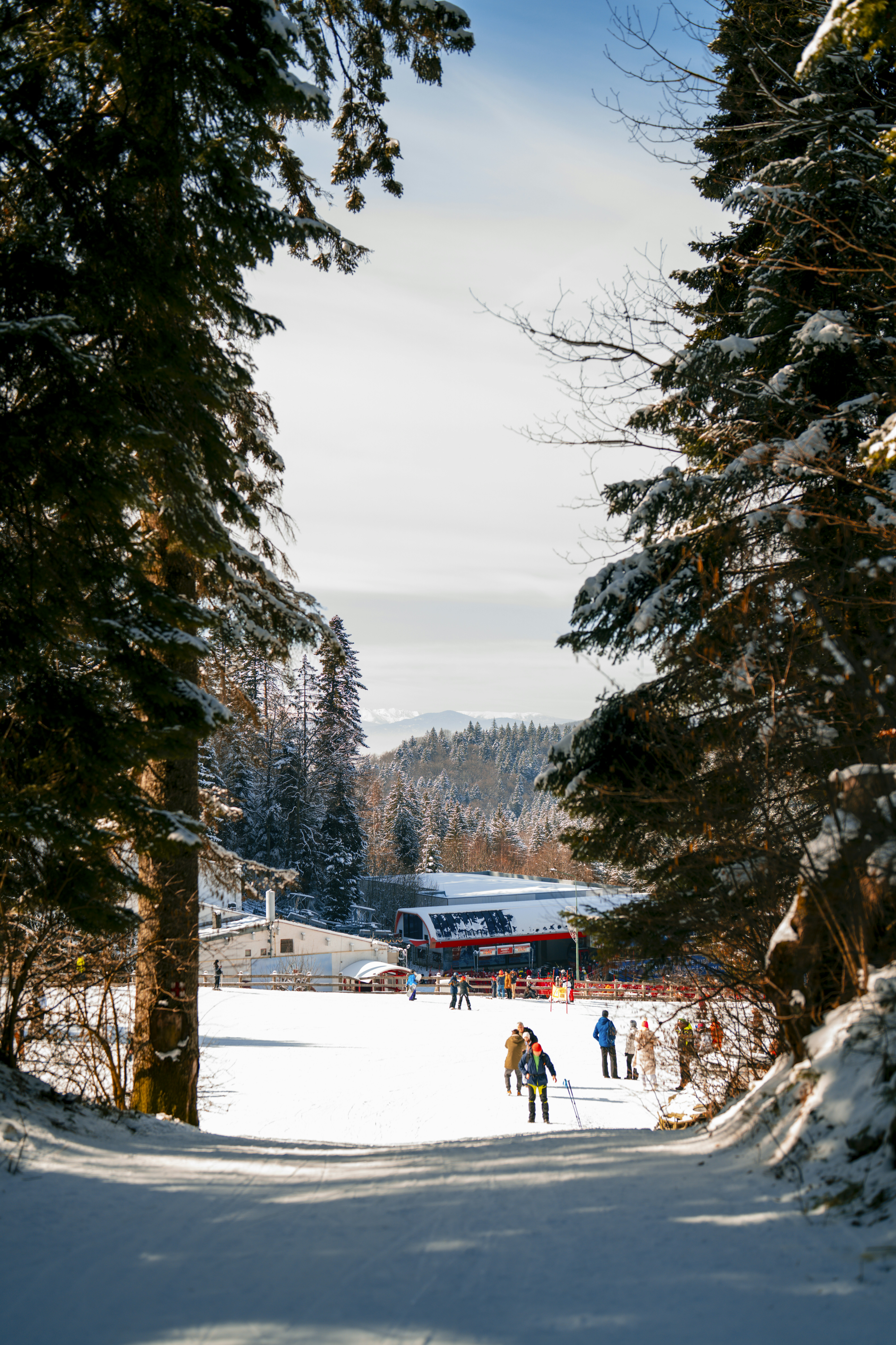 Winter's Embrace: A Path to Adventure