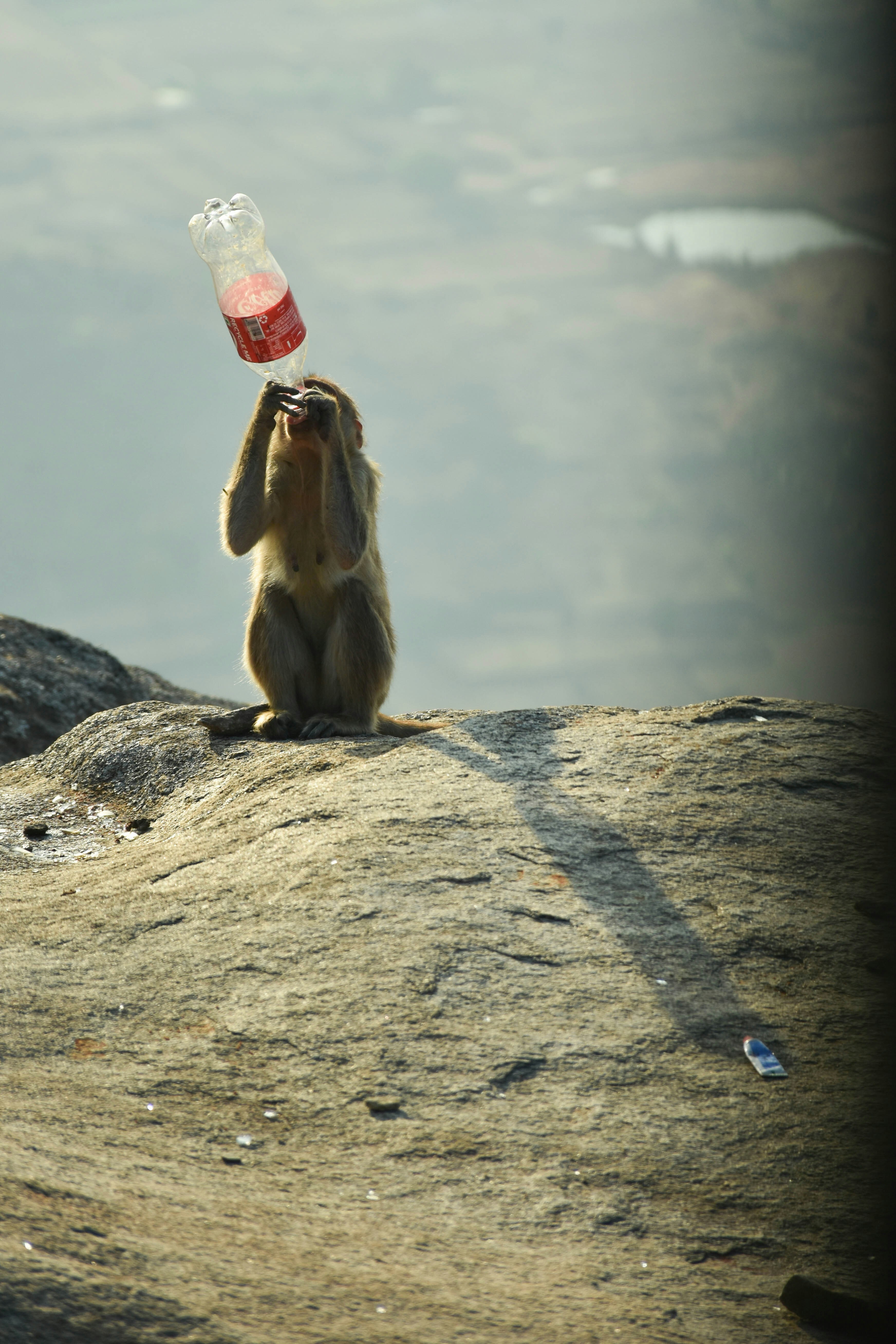 Photo by Anurag Sarkar with Nikon D7200