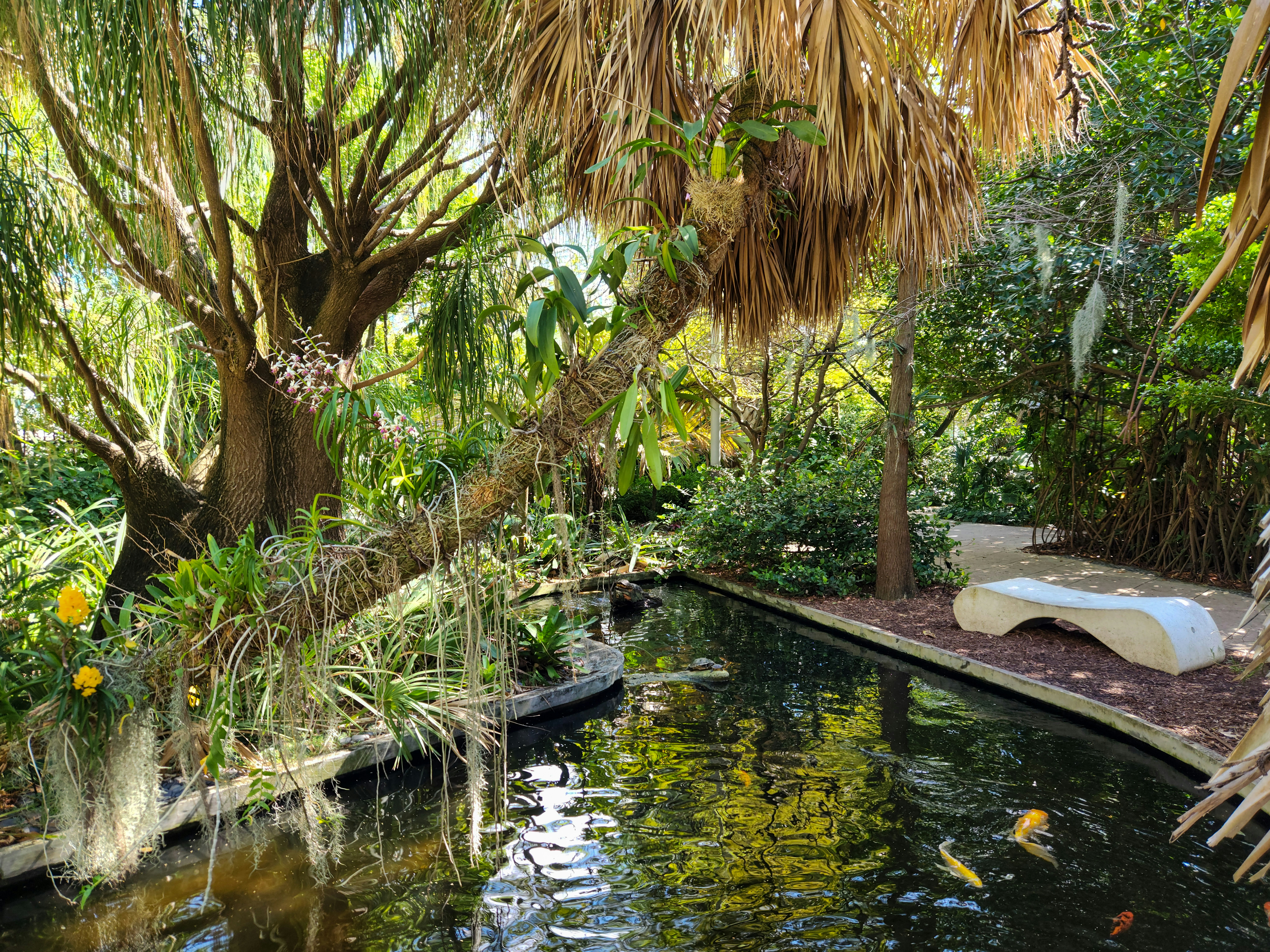 Serene pond surrounded by lush greenery and a majestic banyan tree, with koi fish swimming beneath the surface.