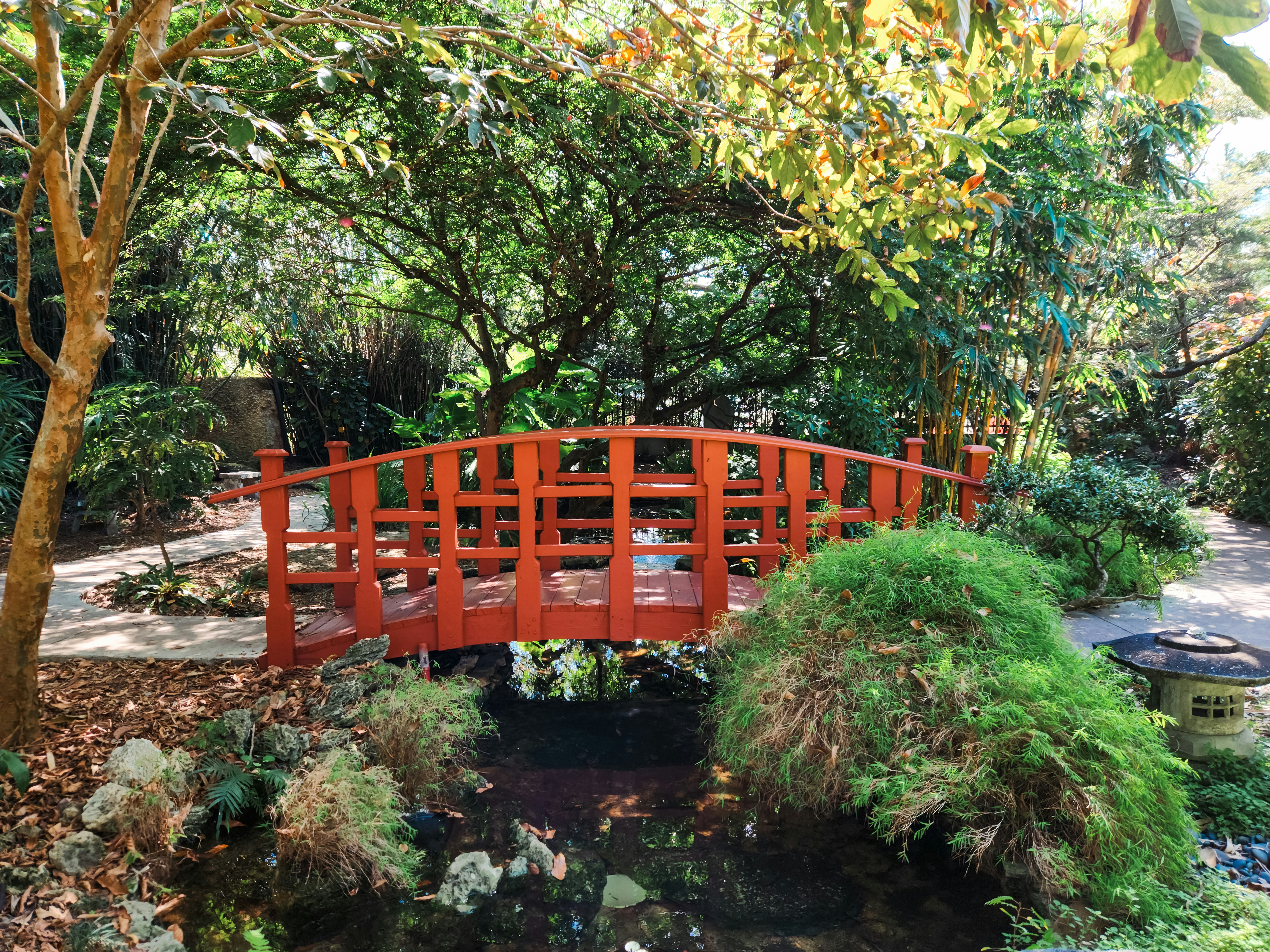 Vibrant red Japanese bridge arches over a tranquil pond surrounded by lush greenery in a botanical garden.