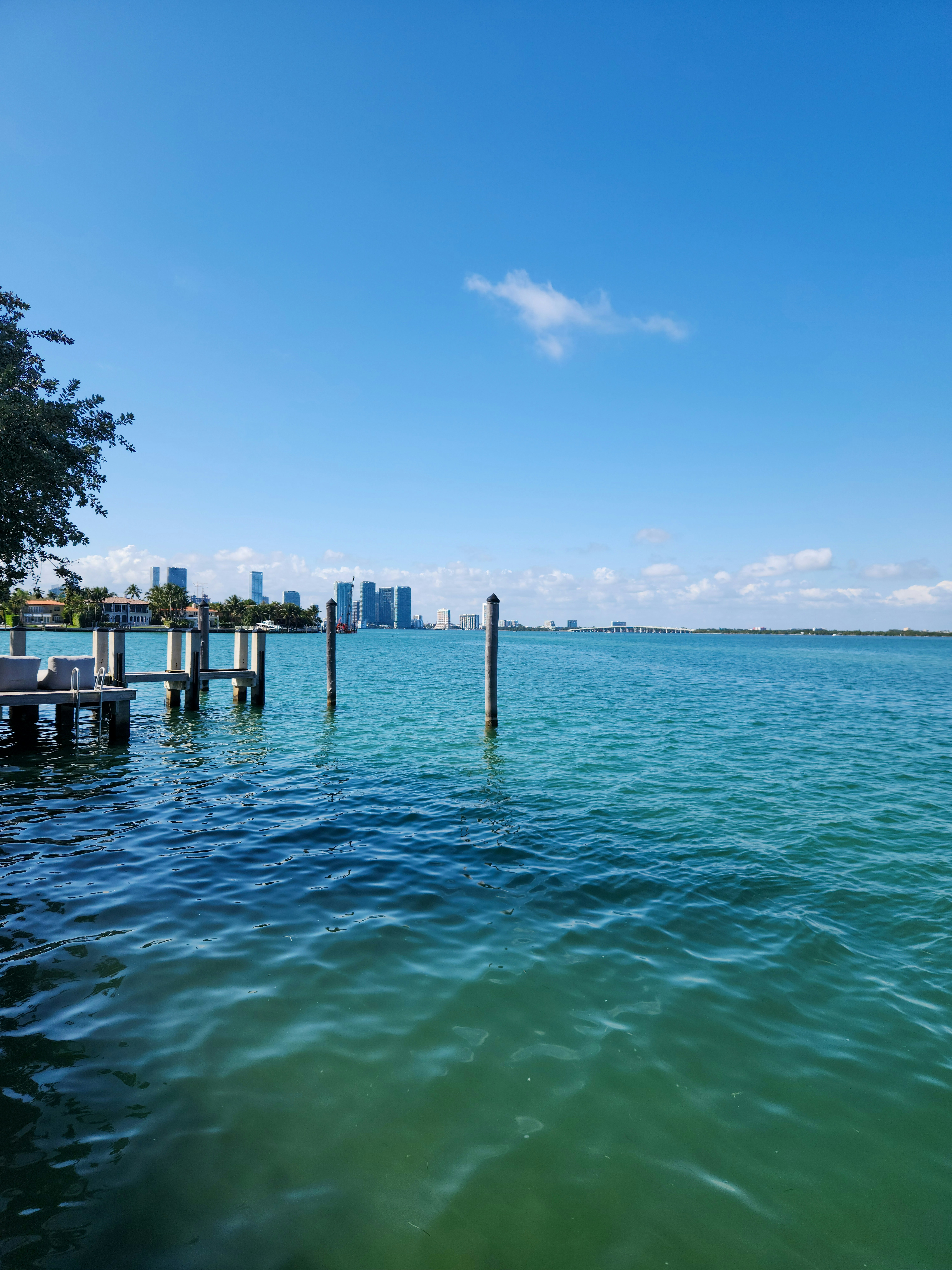 Blue Horizon Over a Calm Waterfront with Distant City Skyline