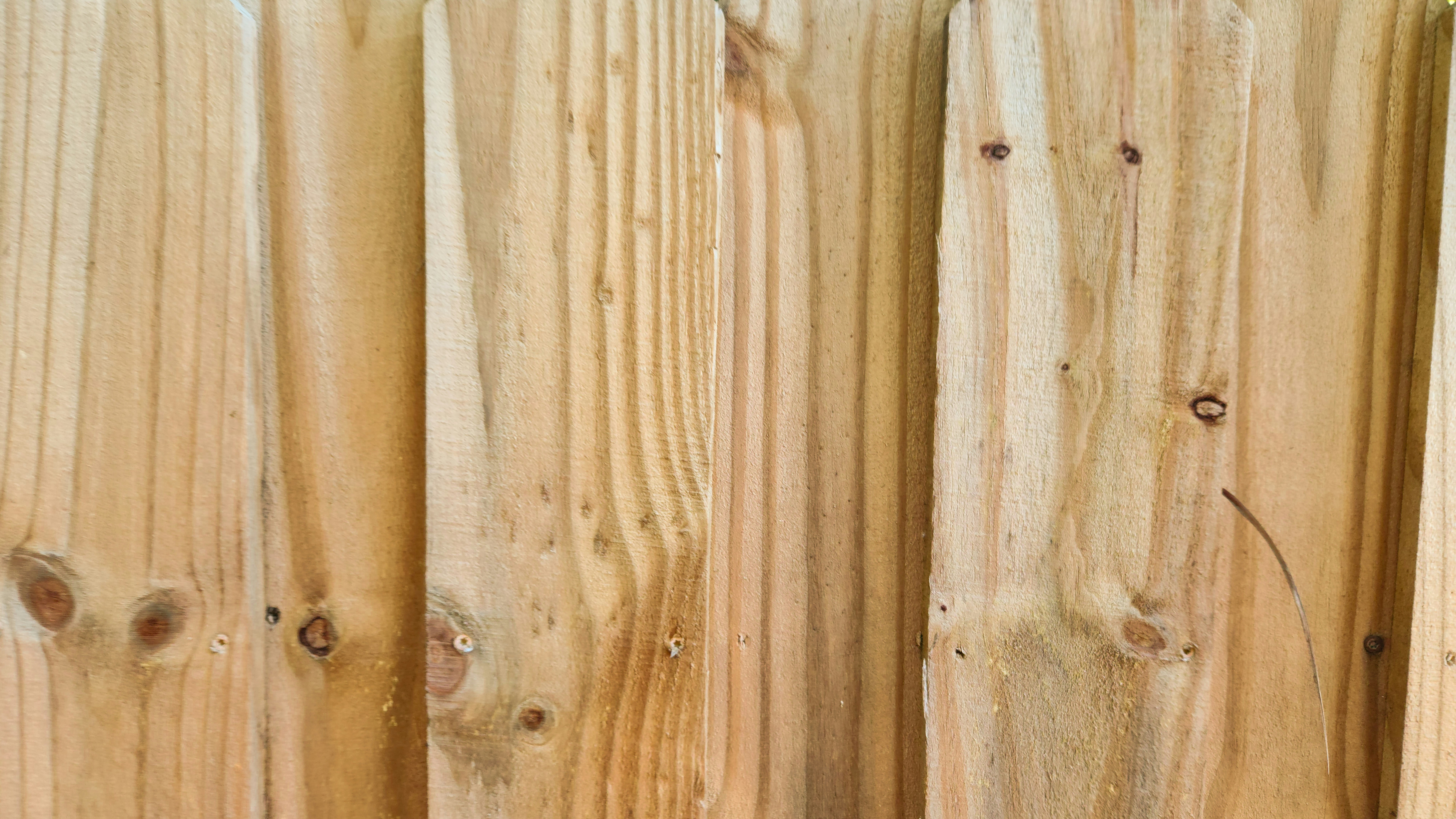A photo of some wood | A cat sitting on a bench in front of a fence