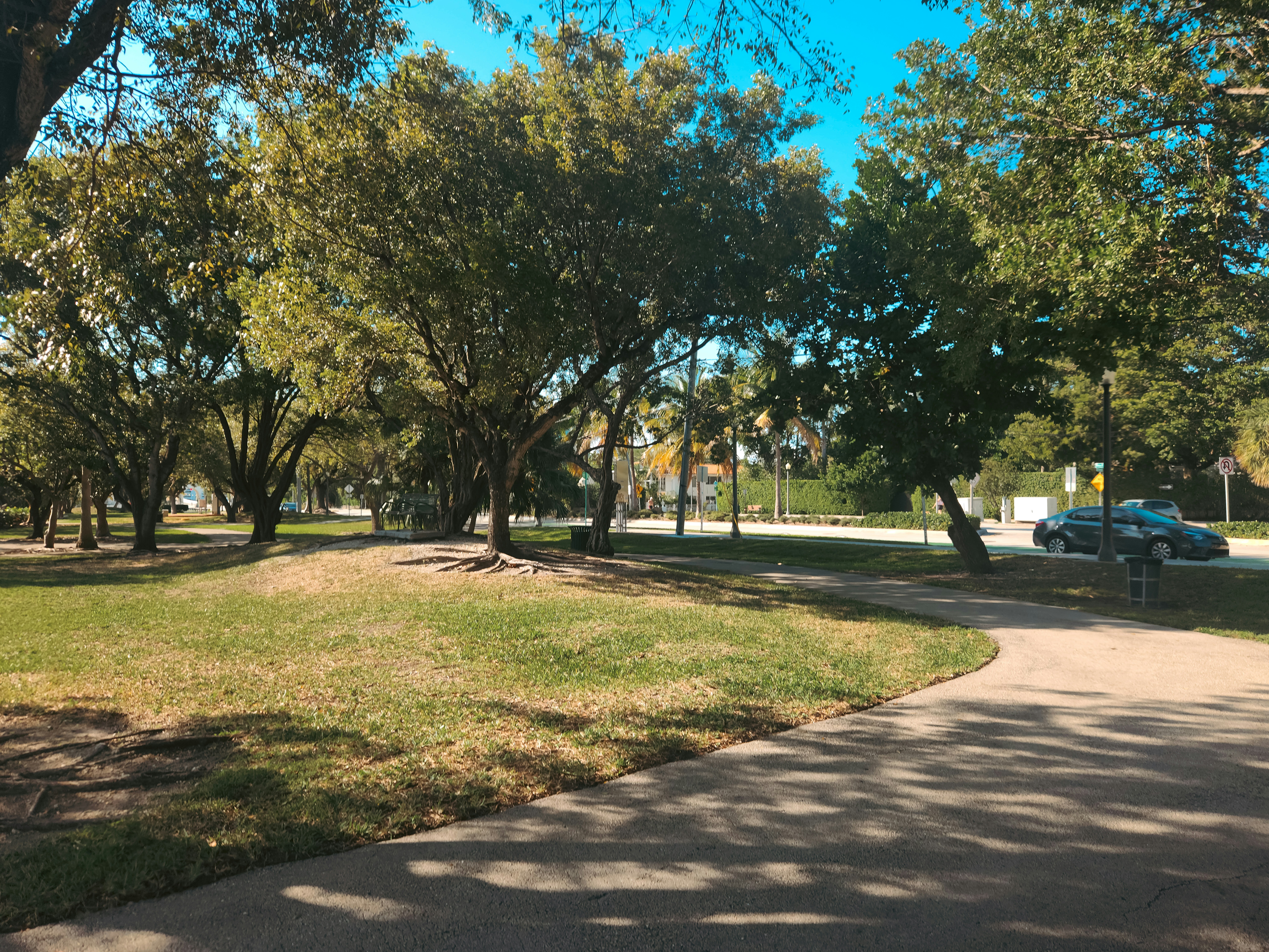 Sunlit park path bordered by lush green trees casting dappled shadows.