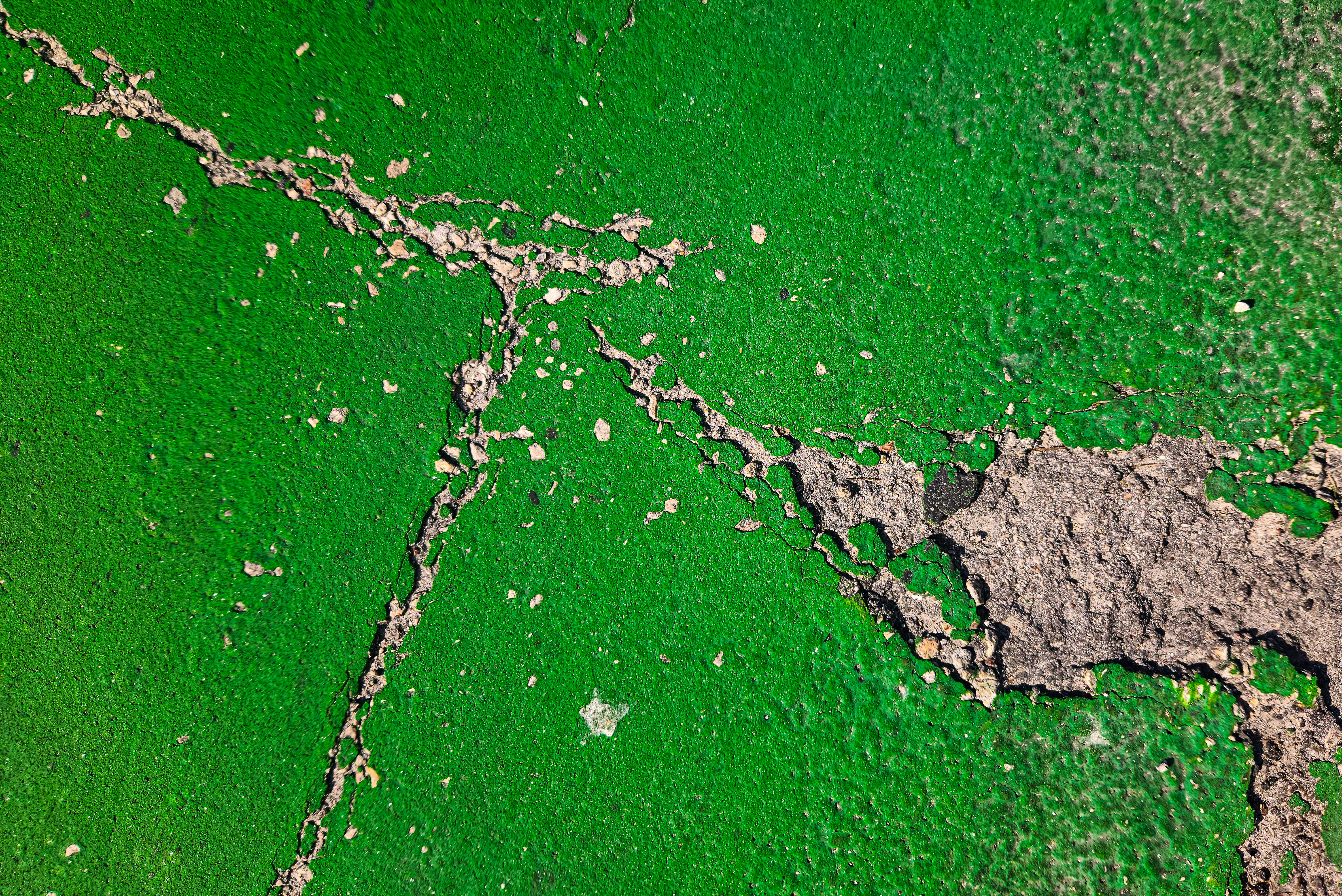 Cracked green surface forming intricate patterns resembling abstract art.