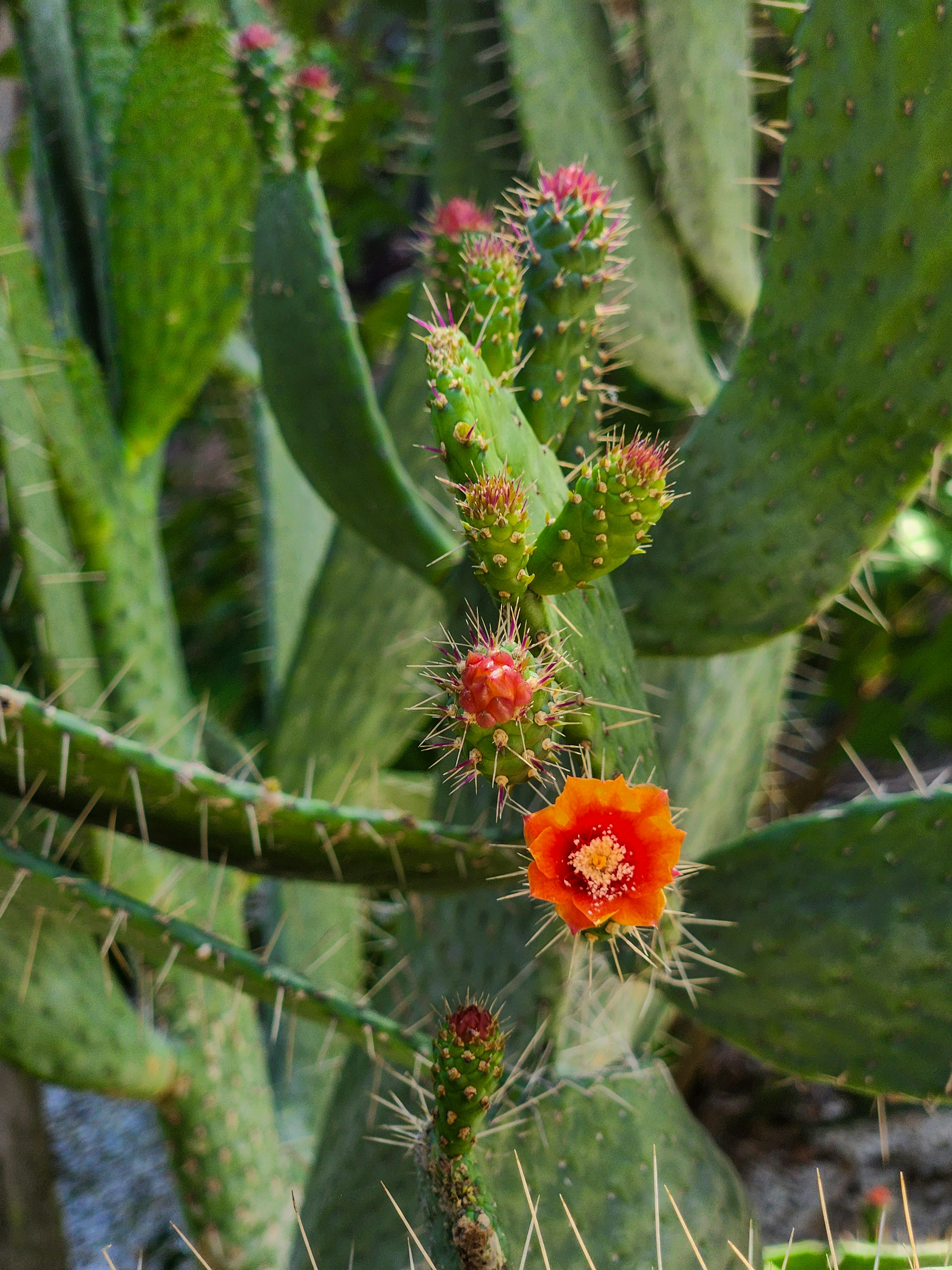 Sample photo from Samsung Galaxy S22