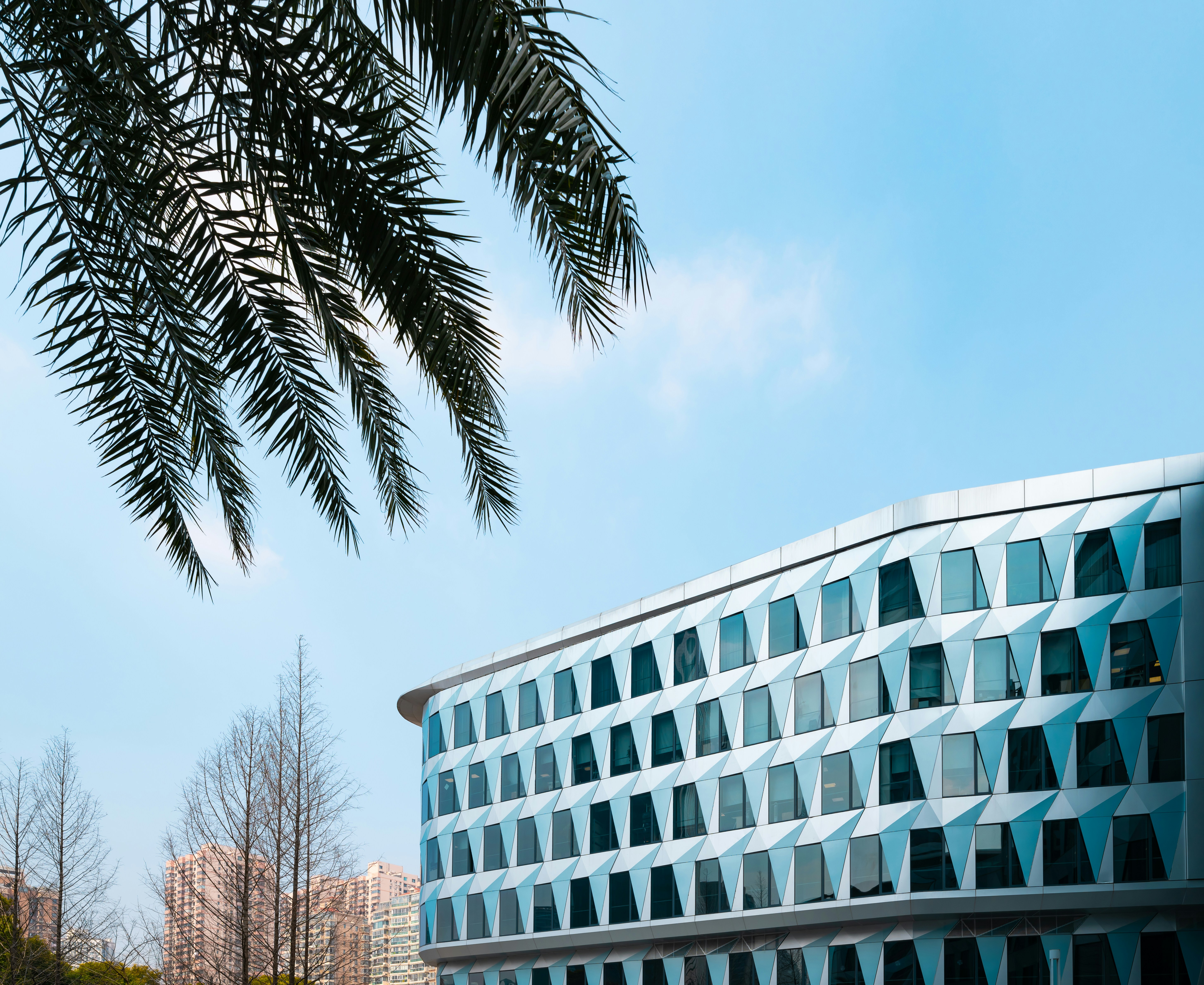 Modern glass building with triangular patterns beneath palm fronds against a clear blue sky.
