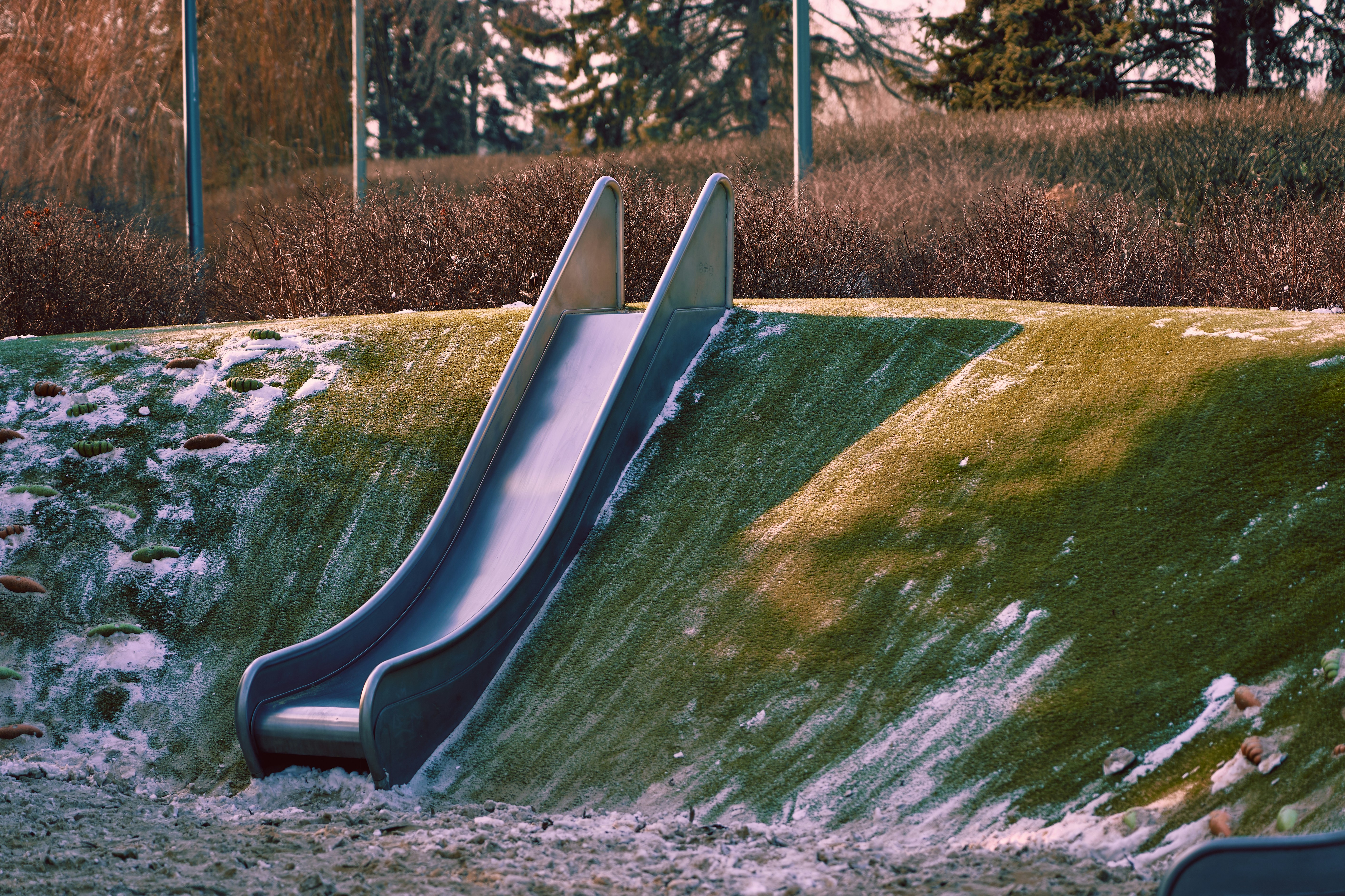 Moss-Cedared Slide: Winter Quiet at the Park's Edge