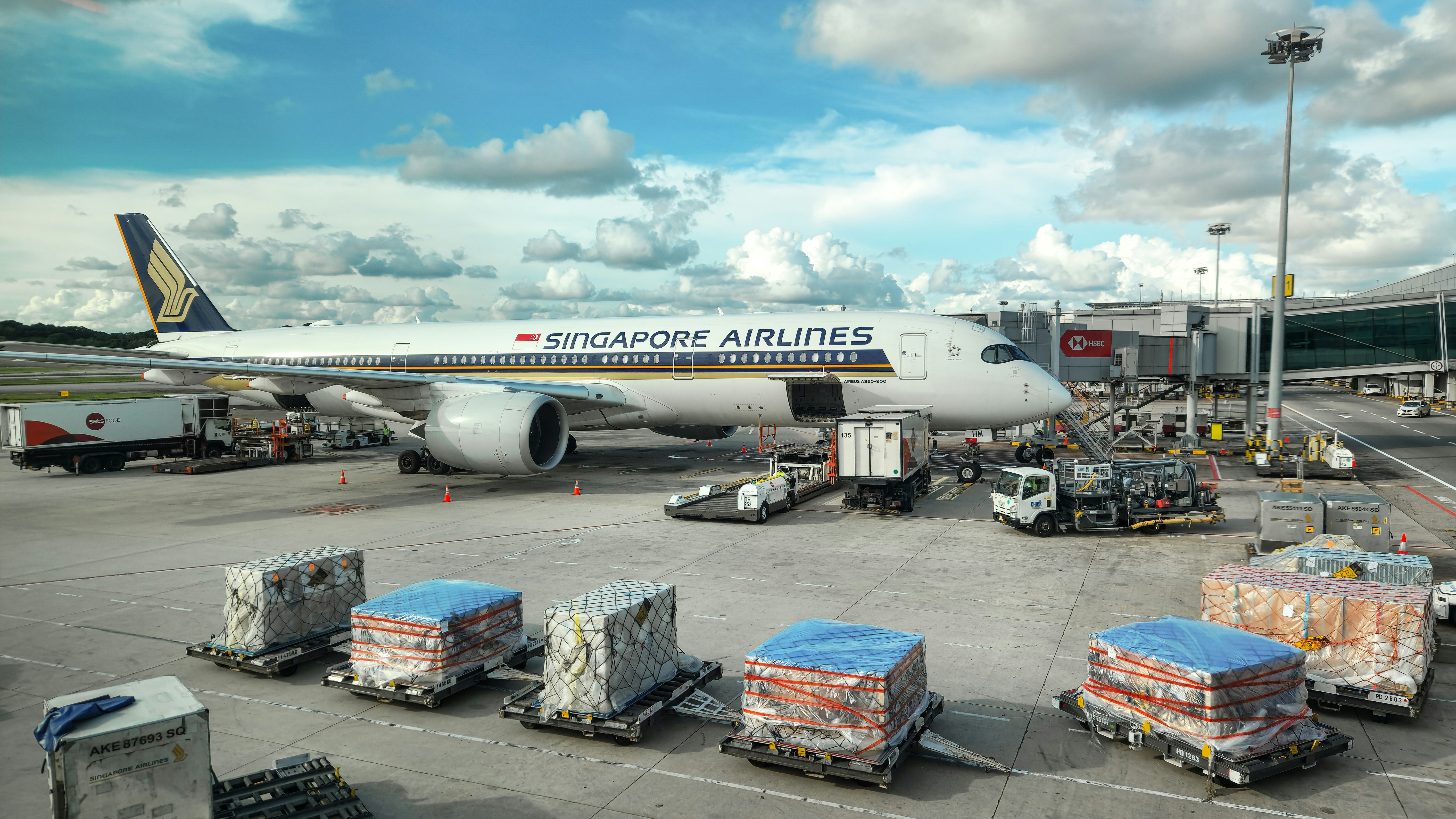 Gatefront Echo: Singapore Airlines Jet at the Tarmac Amid Cargo Pallets