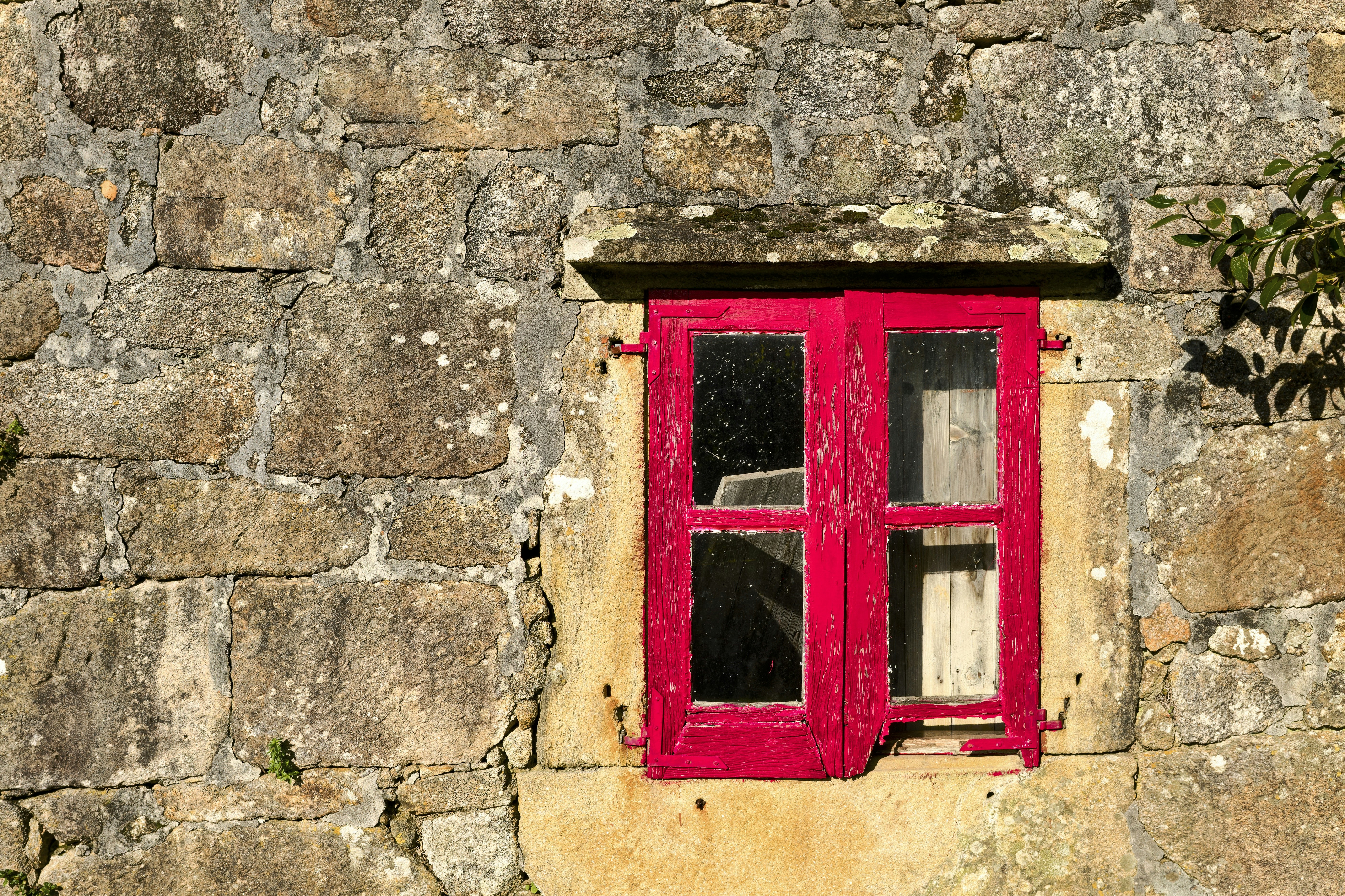 Crimson Aperture on Timeworn Stone