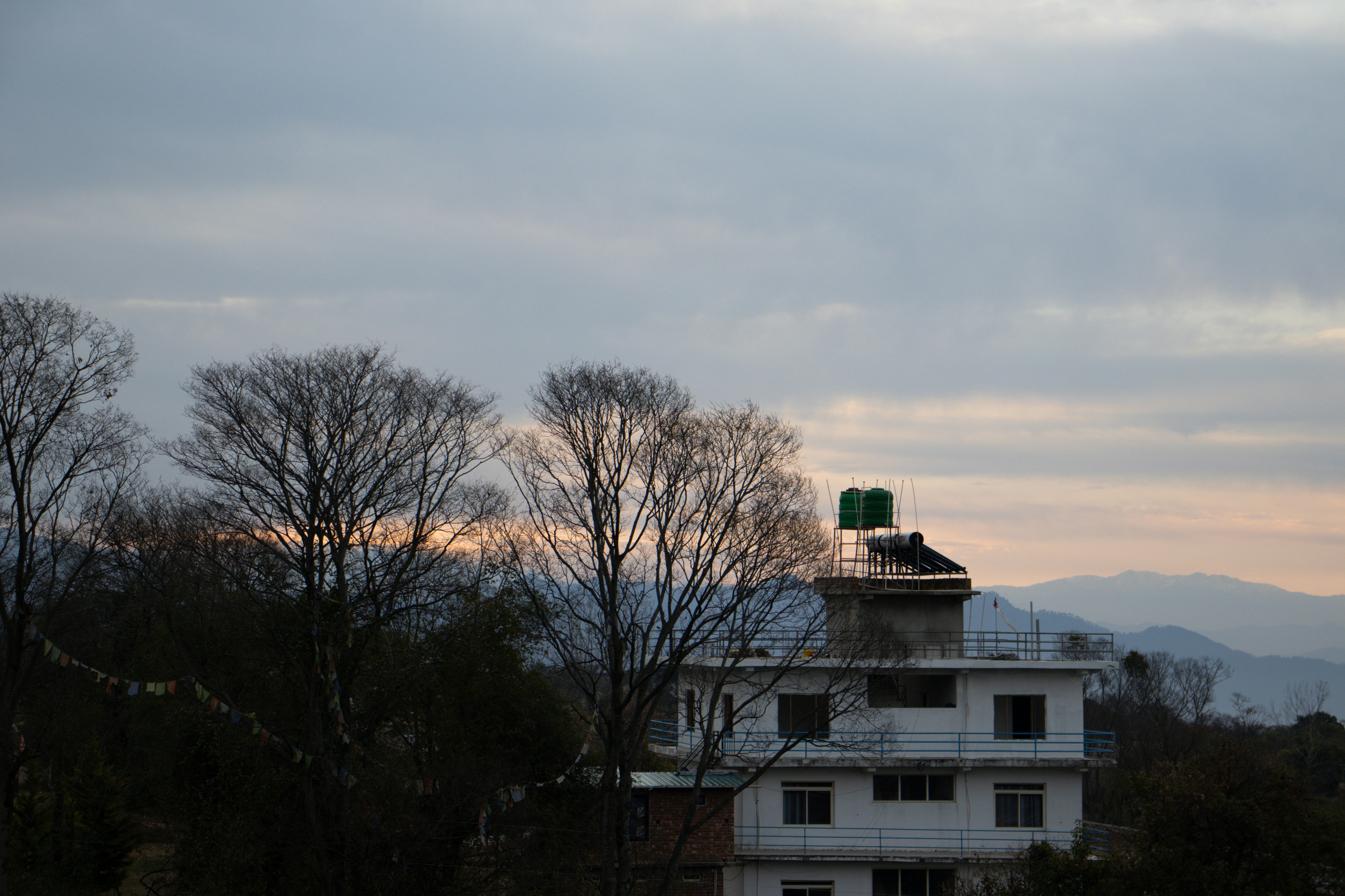Dusk on a Quiet Rooftop: White Facade Framed by Winter Trees