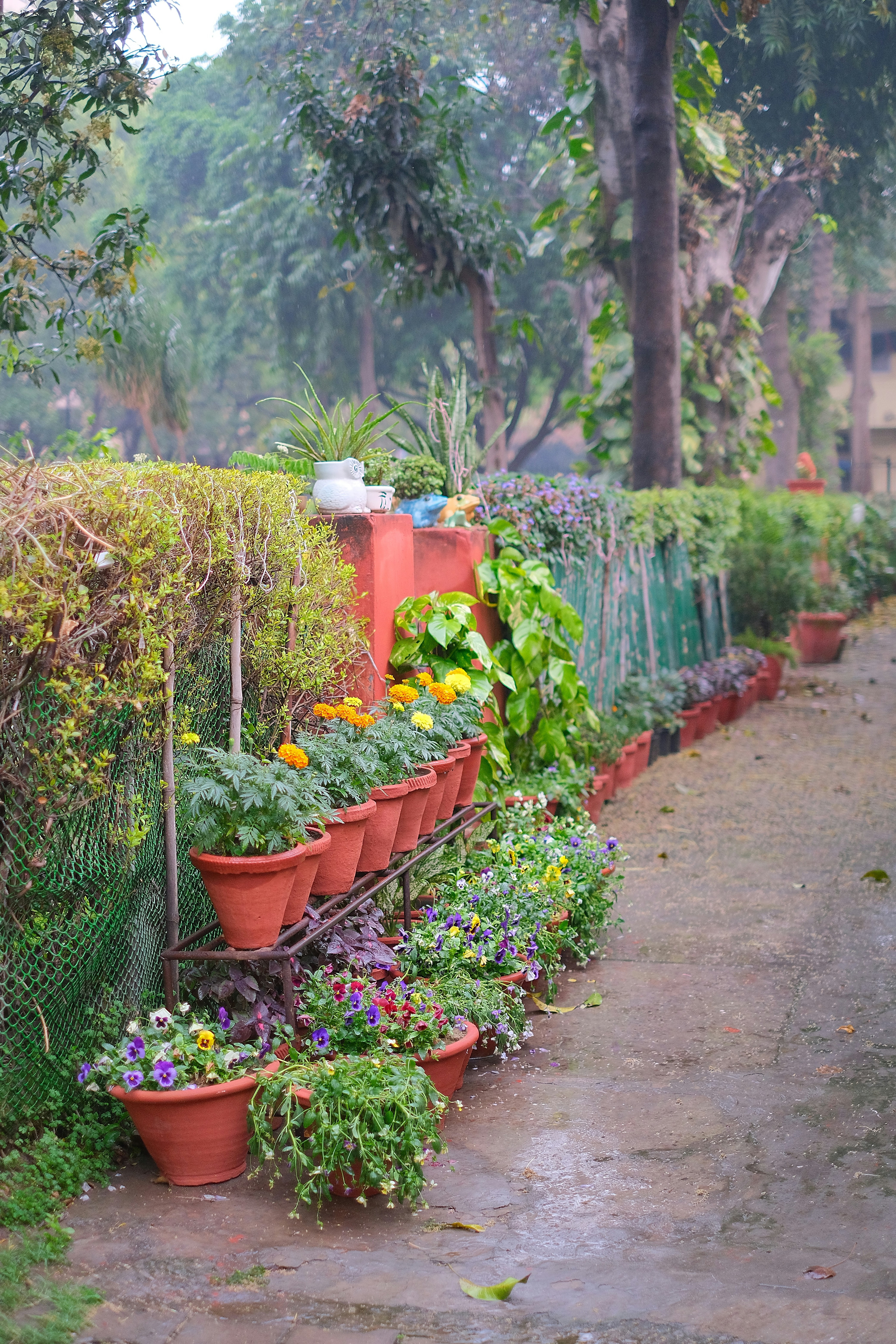 Photo by Ravi Sharma with Fujifilm X-T30