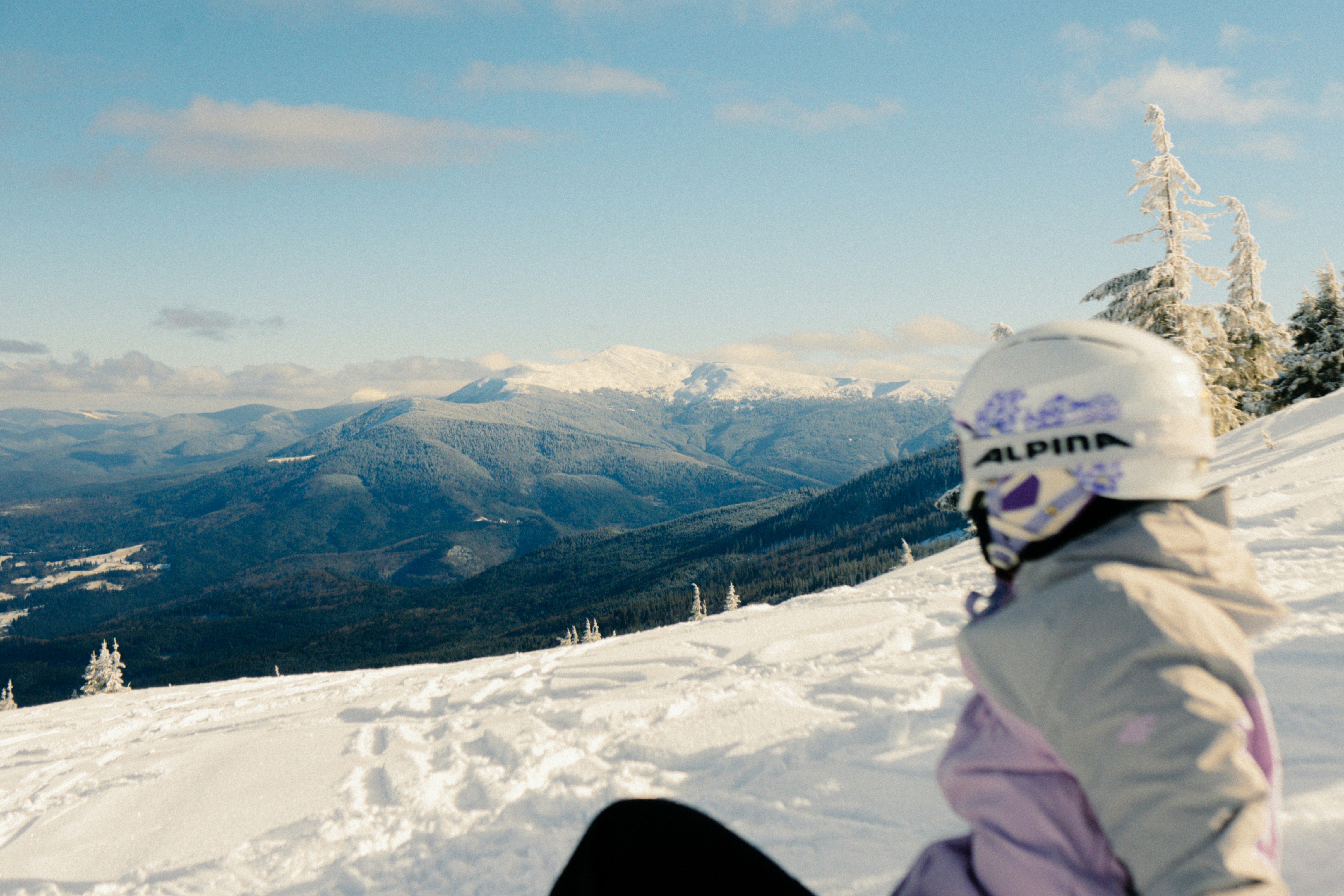 A person sitting on a snowboard in the snow photo – Free Forest Image ...