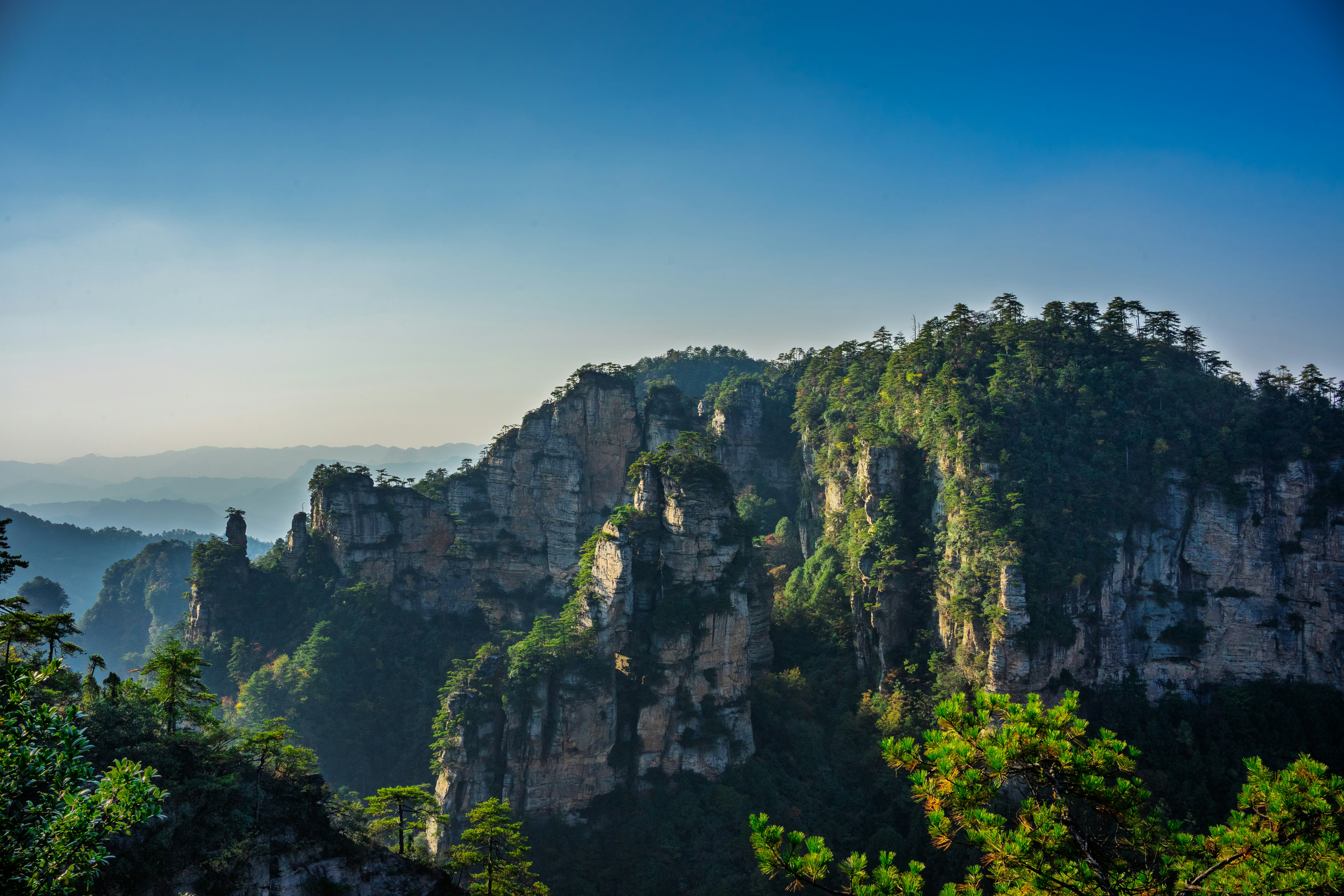 Majestic Pillars of ZhangjiajieJakub Tomasik