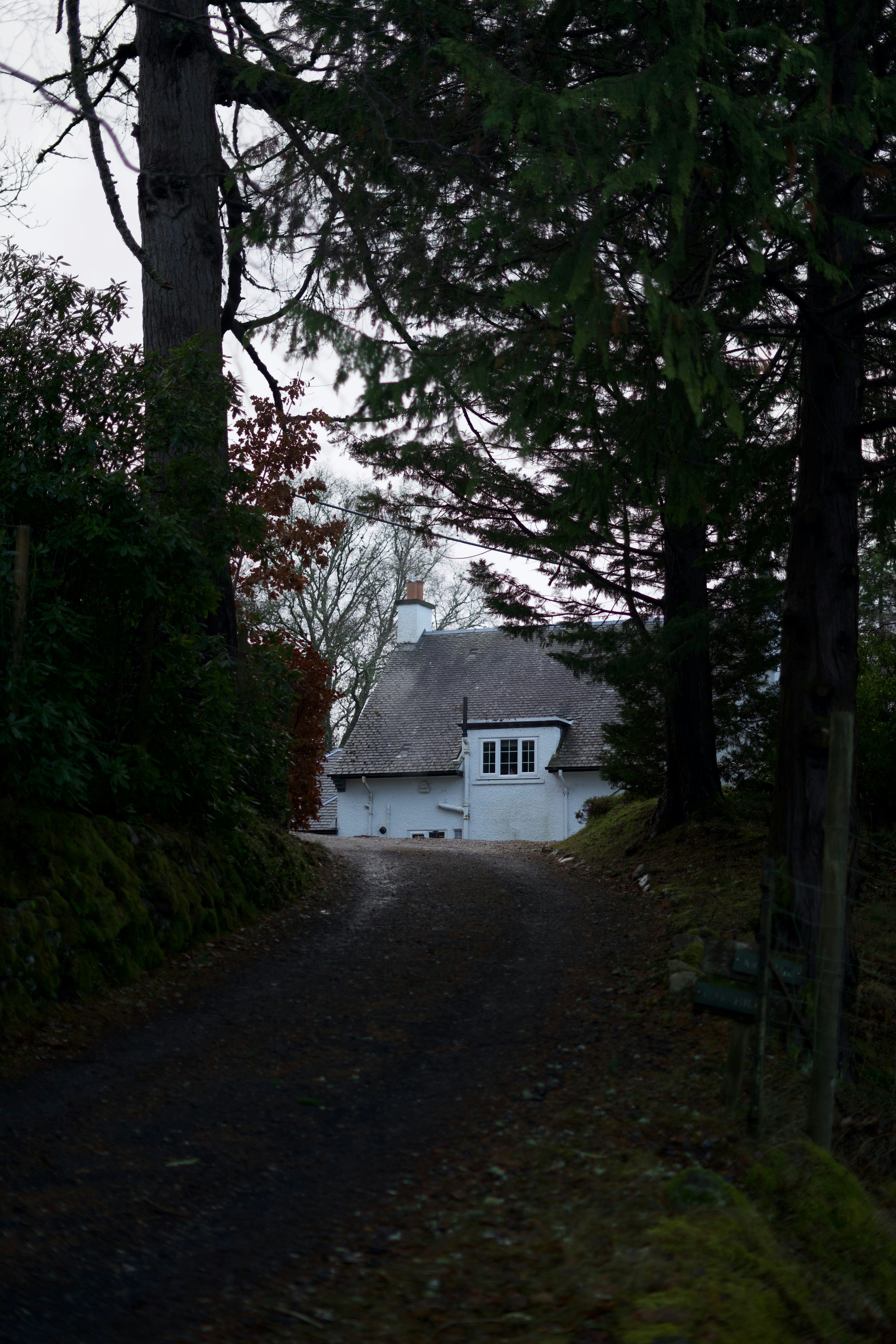 Nocturne Path: A White Cottage Emerges Through the Forest