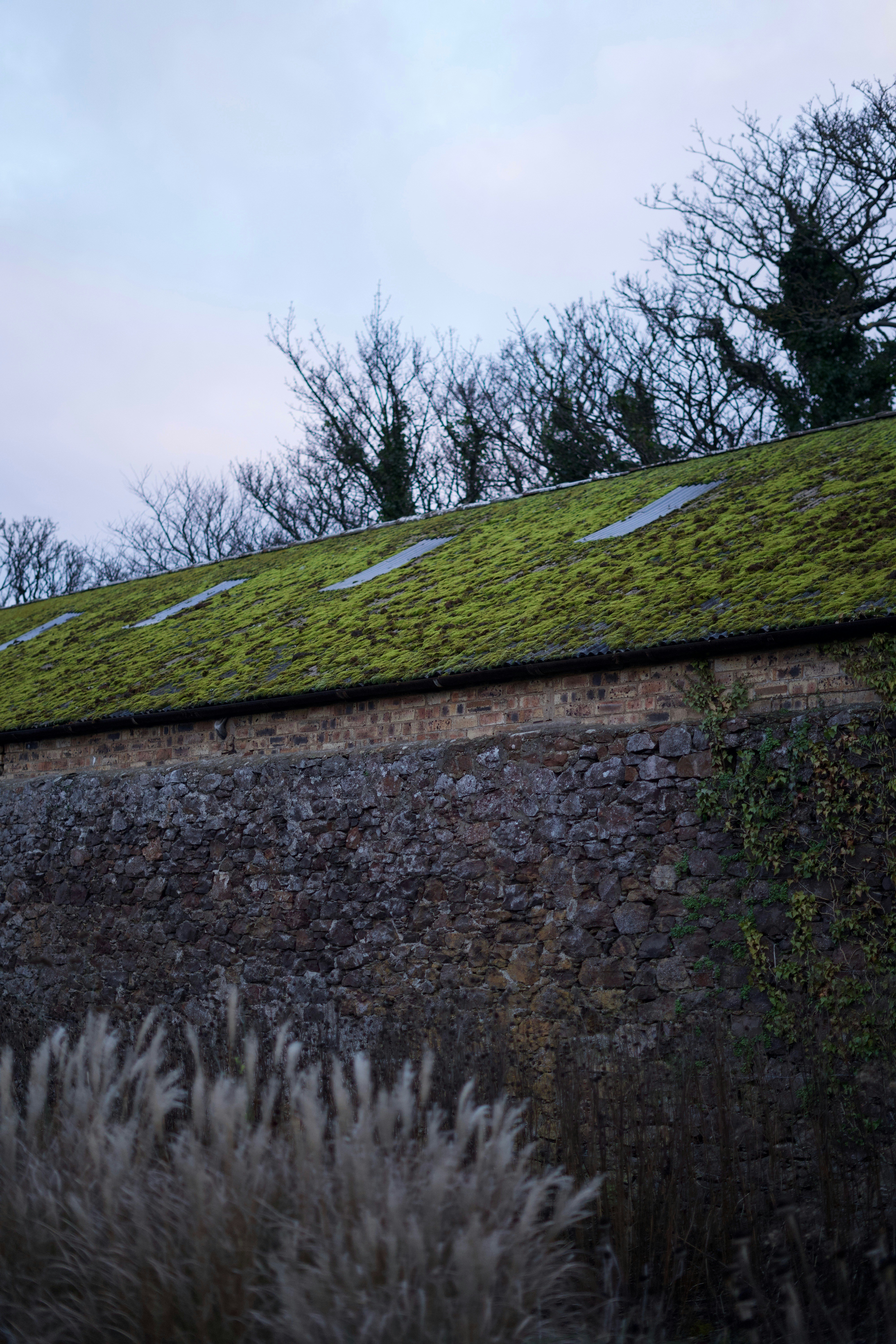 Moss-Covered Roof Above a Weathered Stone Wall at Dusk