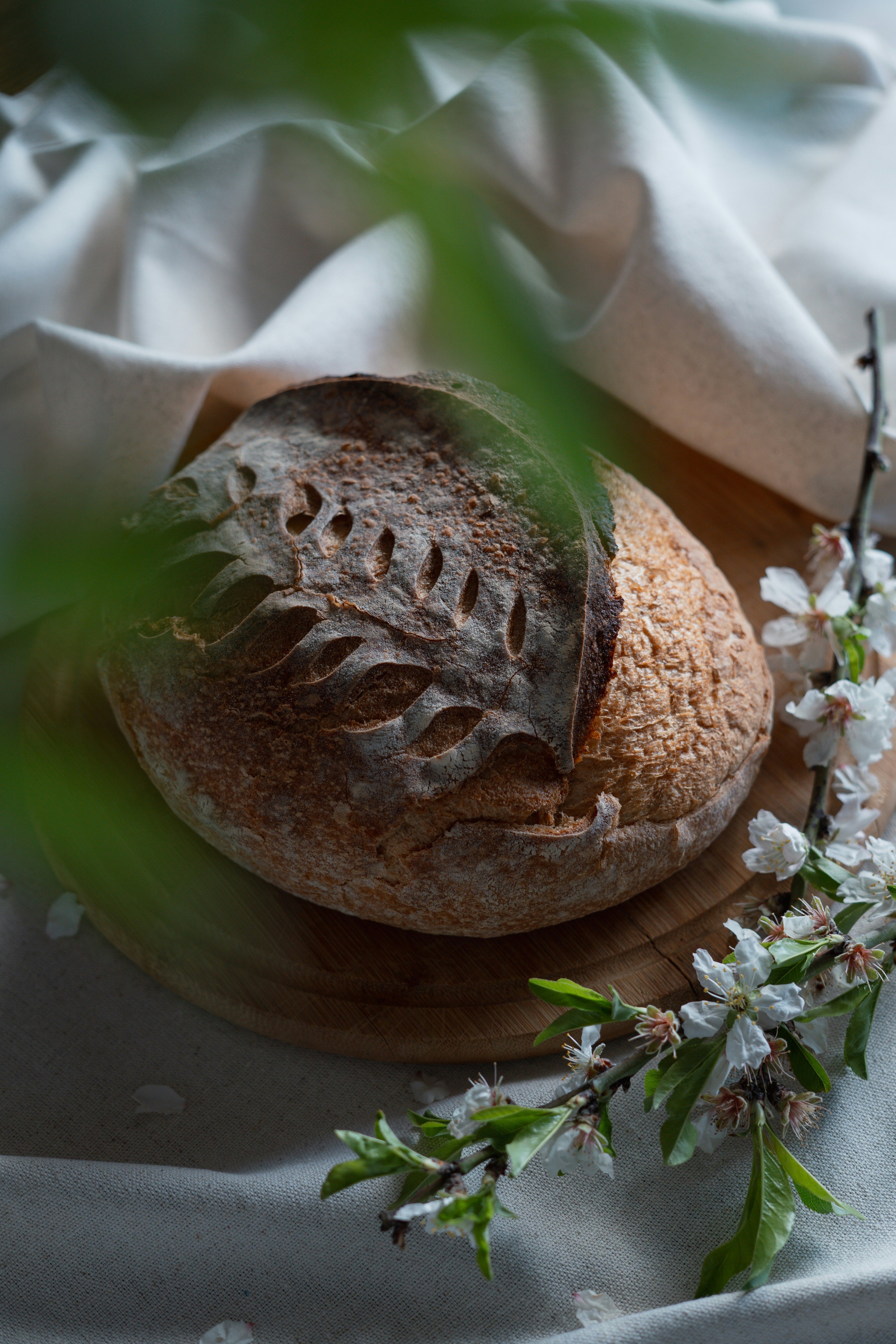 Rustic Round Loaf with Ornate Scoring on a Wooden Board, Framed by Spring Blossoms