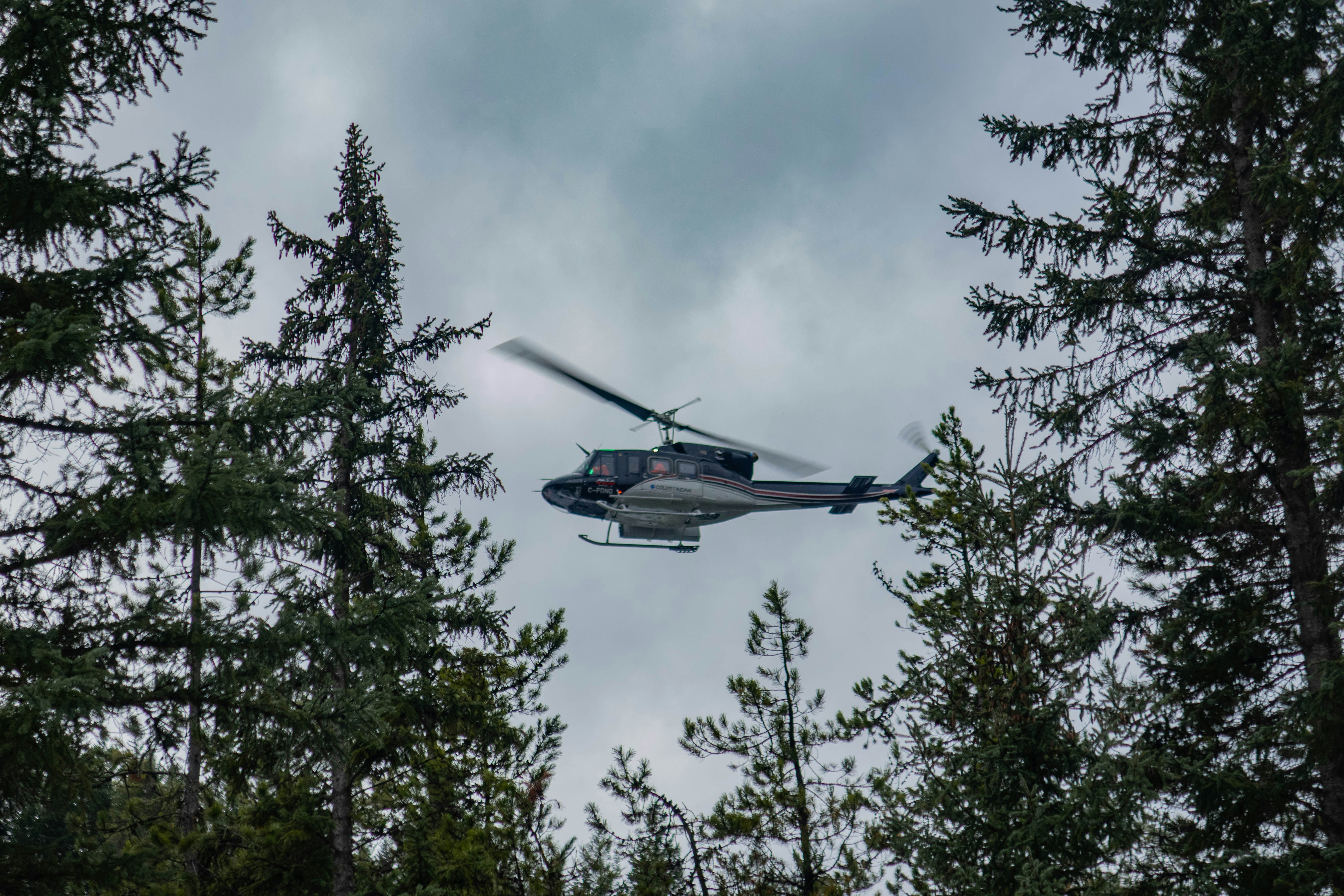 A helicopter flying over a forest filled with trees photo – Free Travel ...