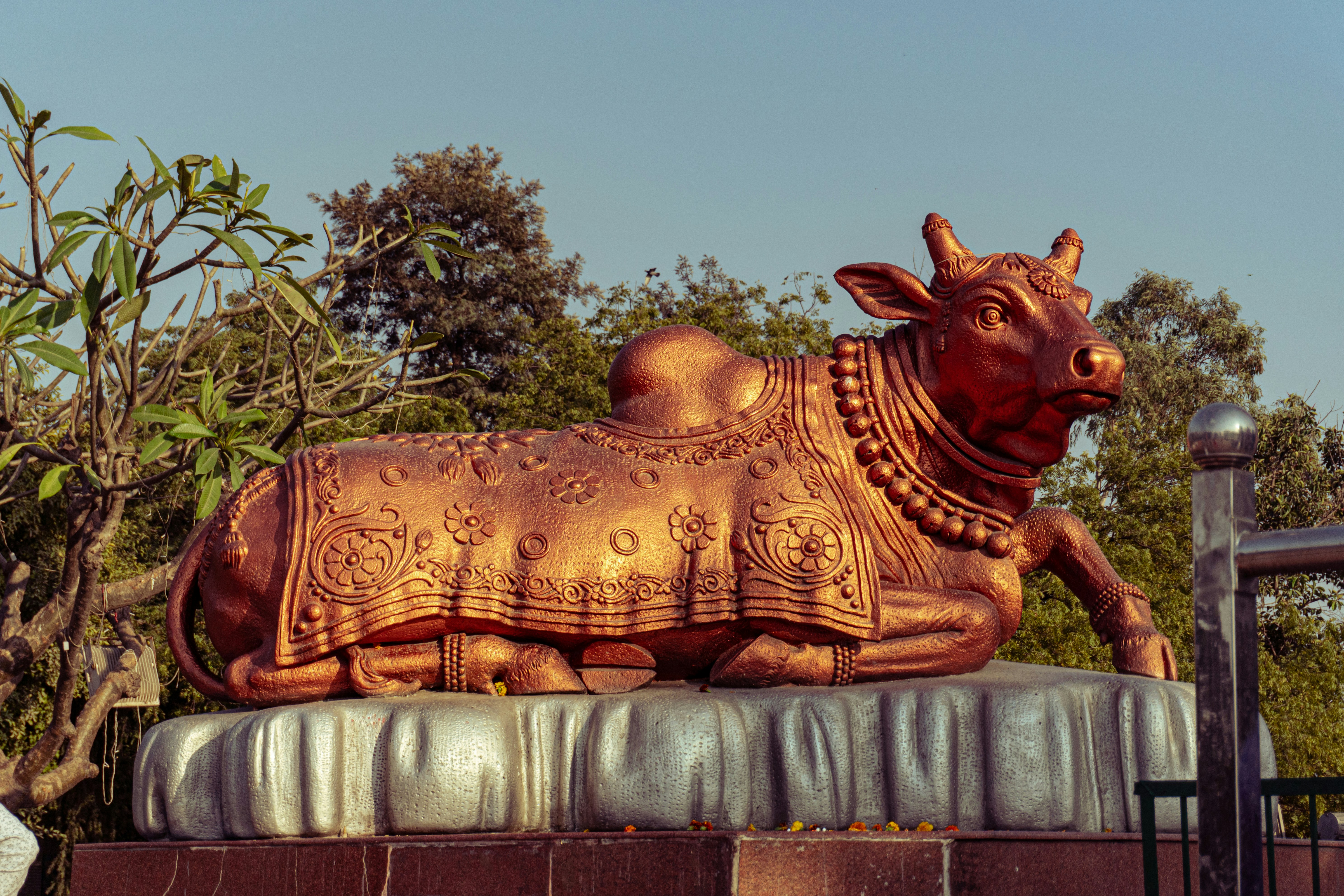 A golden cow statue sitting on top of a cement block photo – Free ...