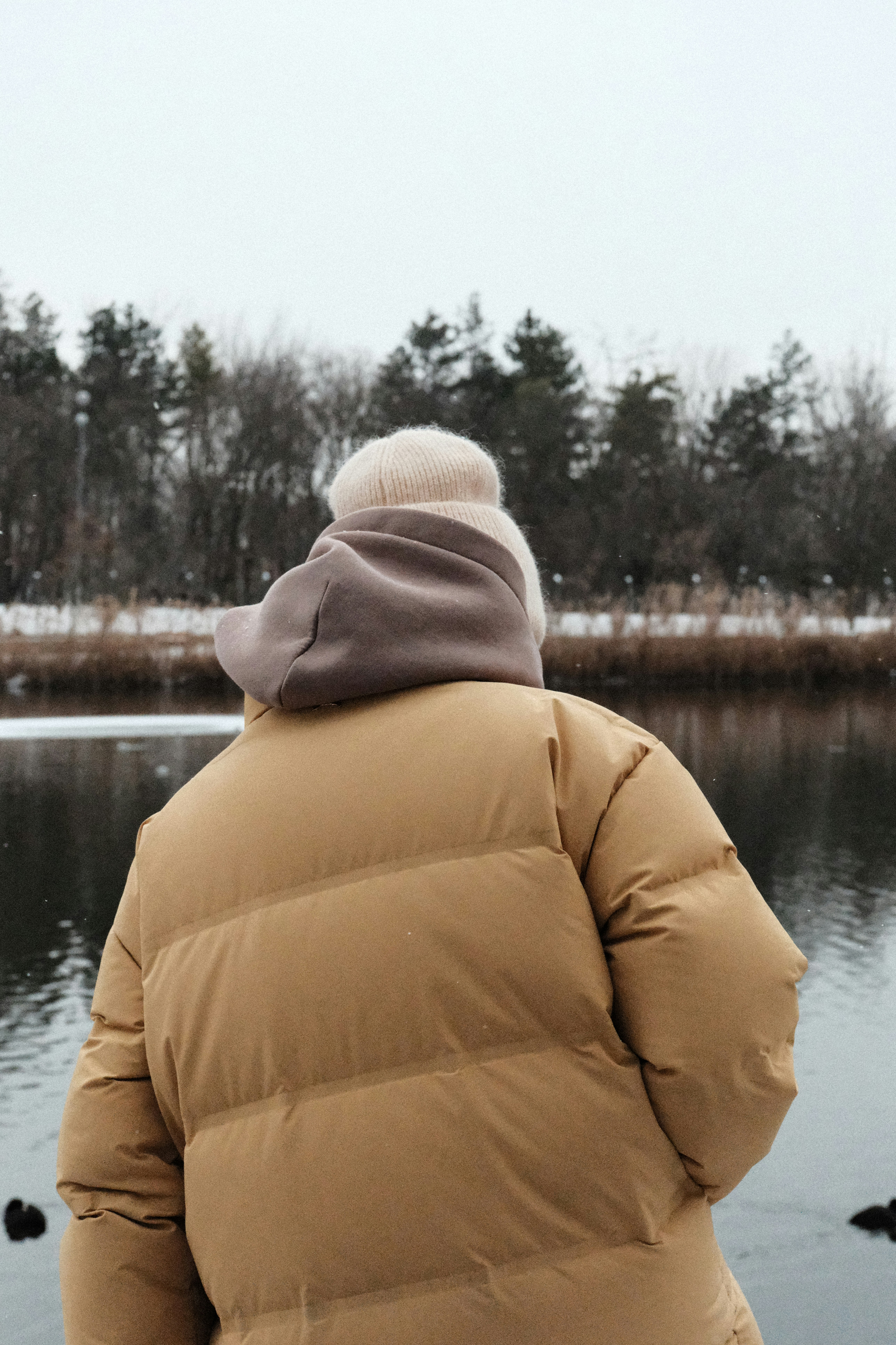 Warmth at the Water's Edge: A Tan Puffer Silhouette Against a Winter Lake