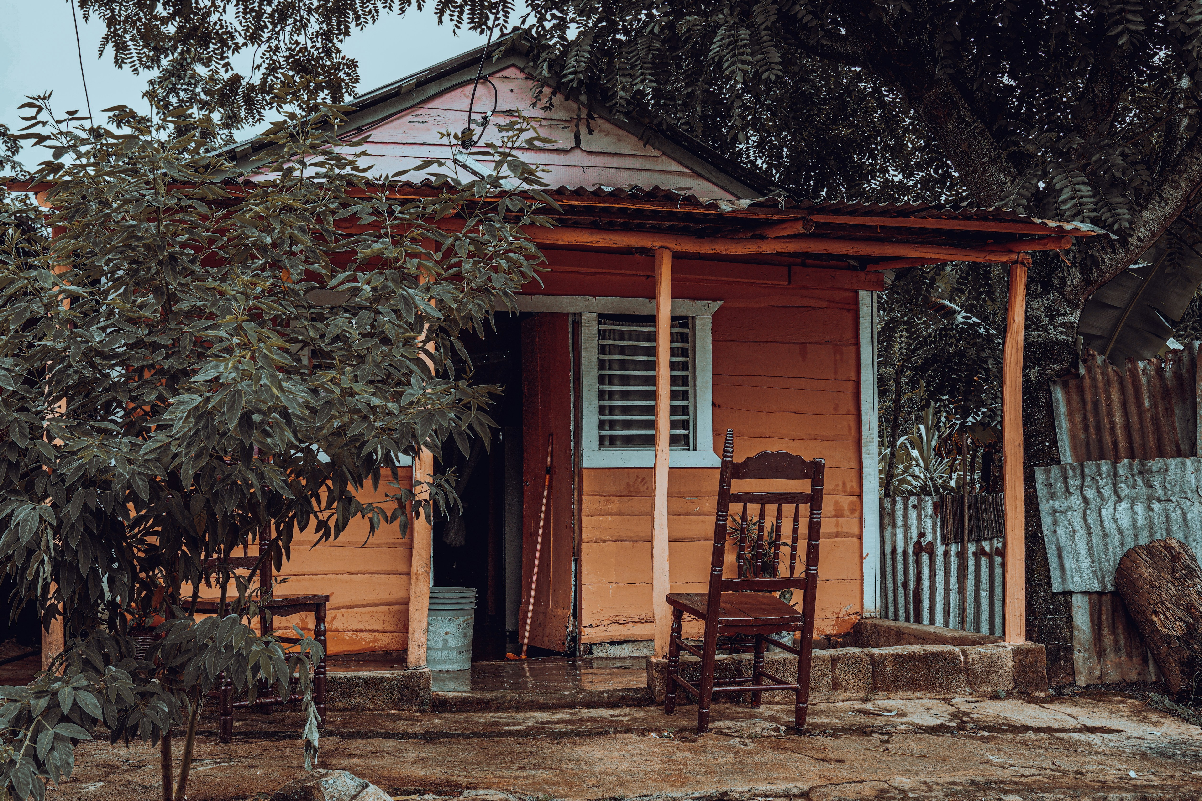 Wooden chair on a porch of an orange rustic house surrounded by lush greenery and a large tree.