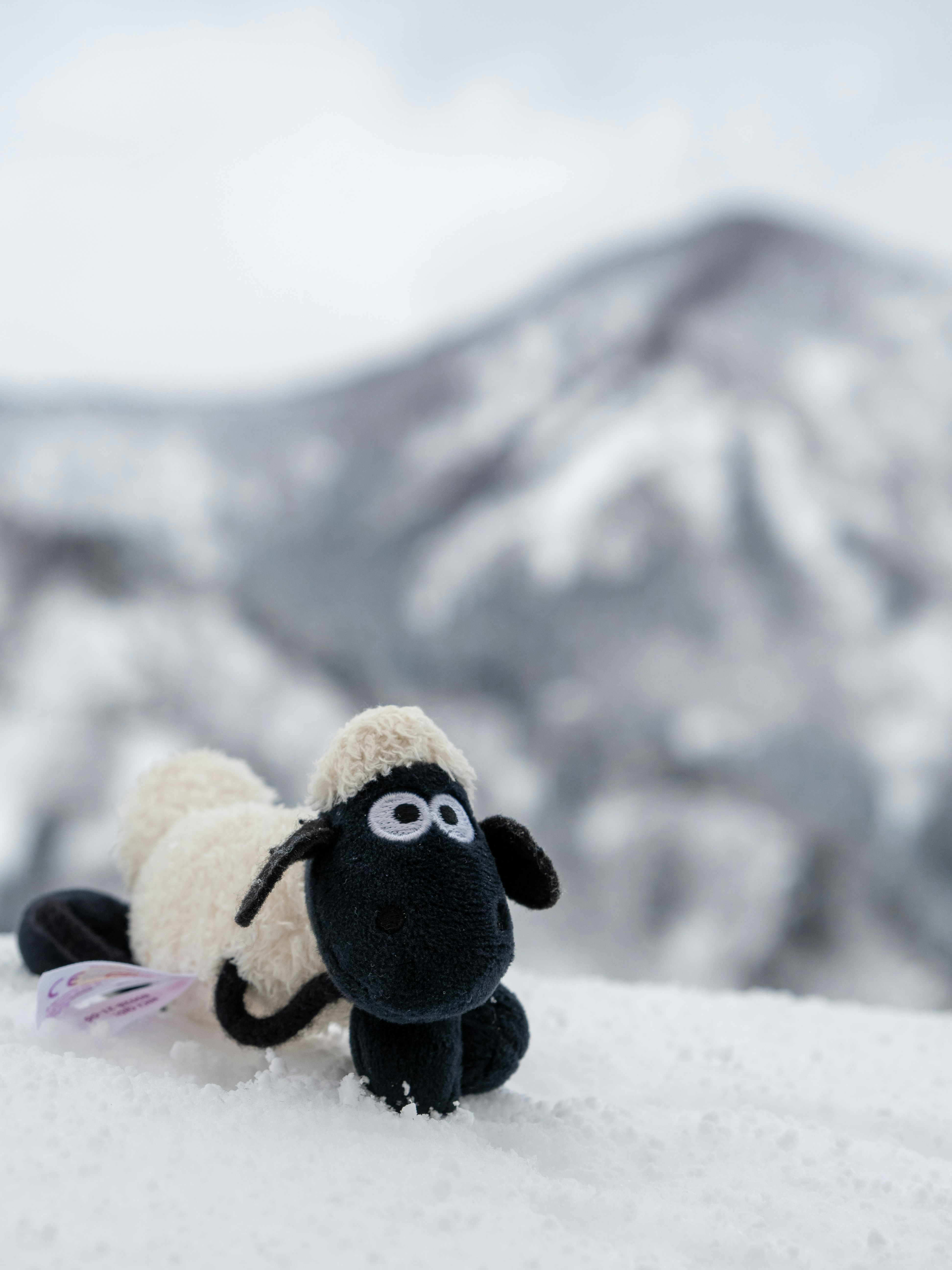 Snowy hillside encounter with a plush sheep on a frosted peak