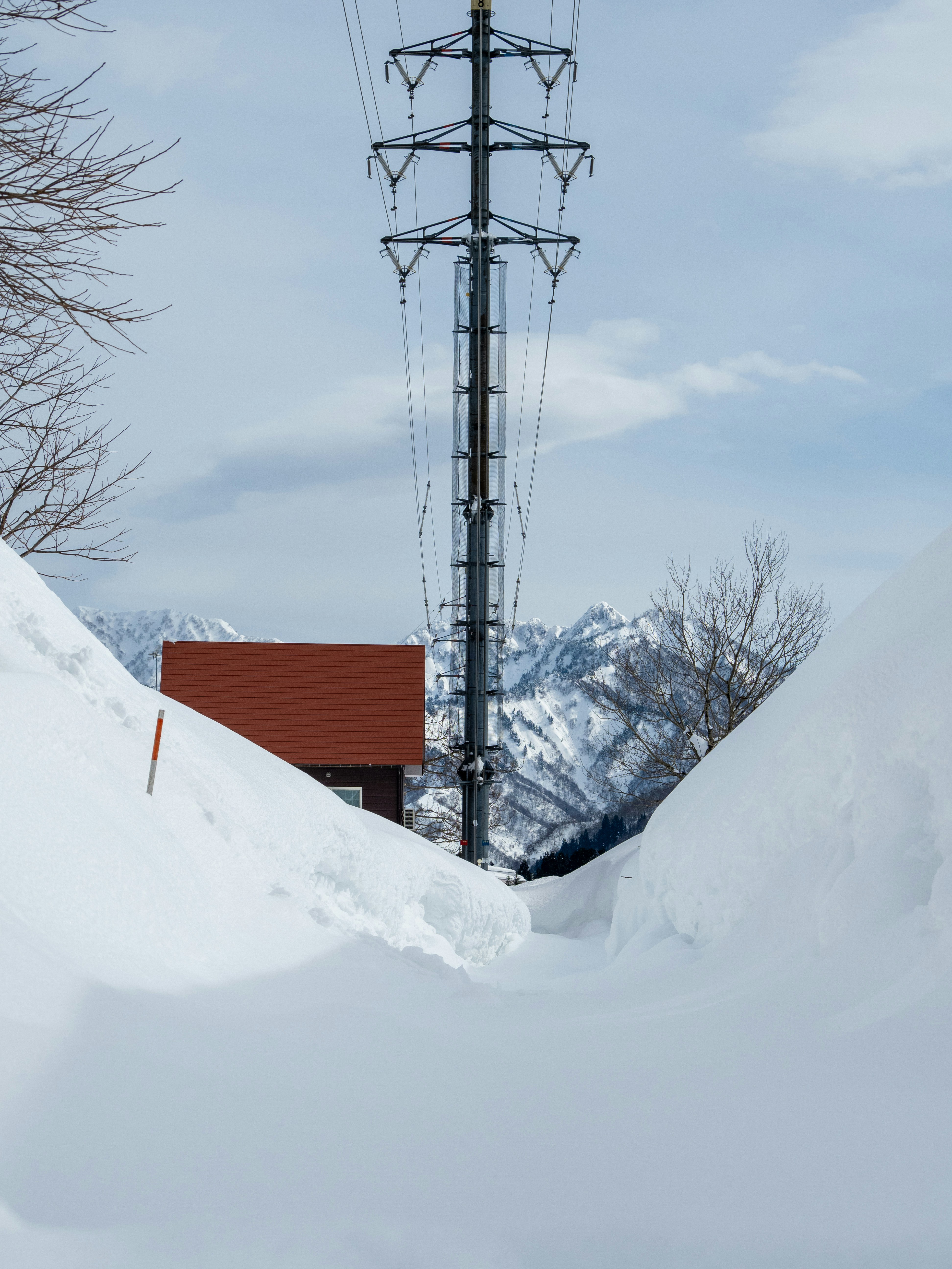 Snow-Cut Corridor: The Red Roof Lodge Framed by a Towering Power Line