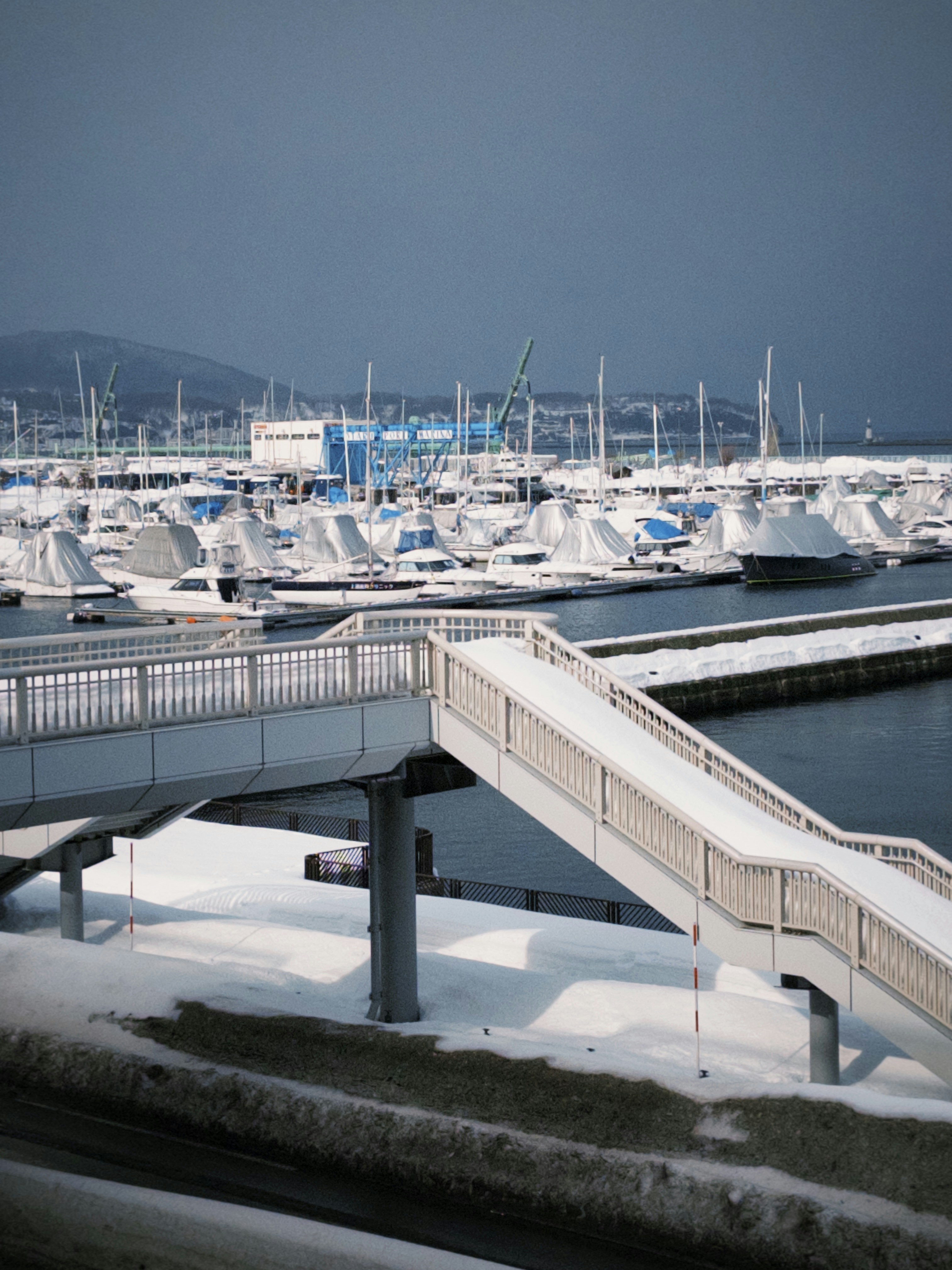 A harbor filled with lots of boats covered in snow photo – Free Urban ...