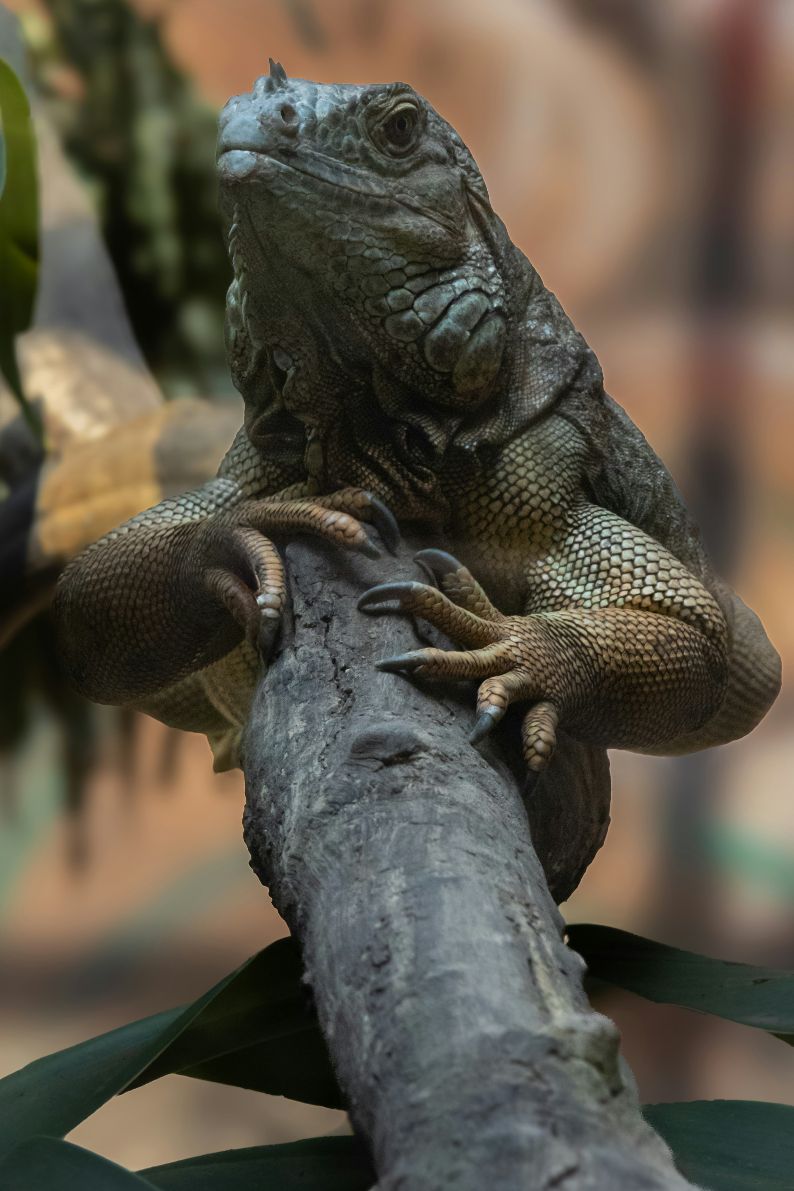 Photo by Surya Teja with Canon EOS R10