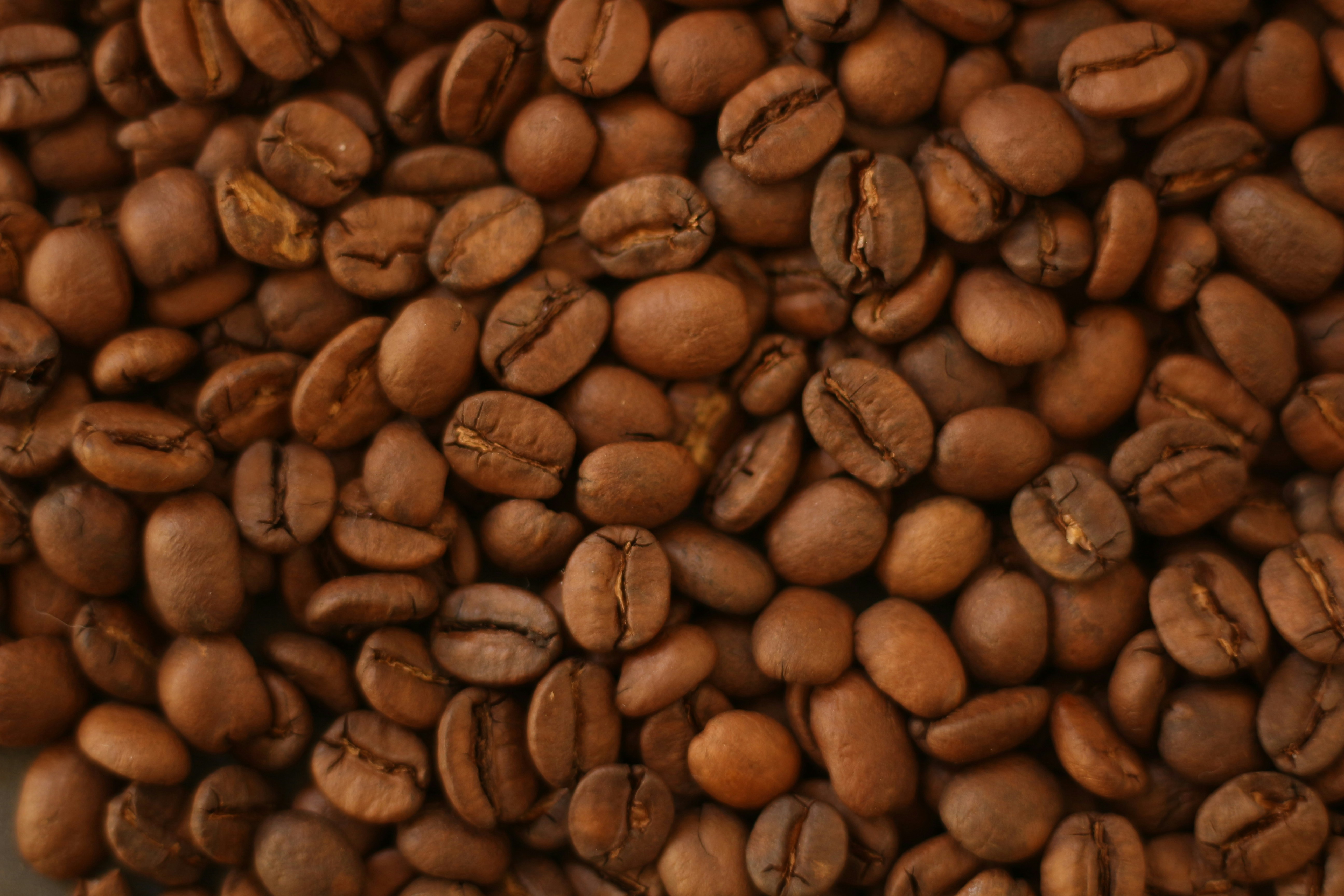 Photo by Daniel Dan with Canon EOS 700D