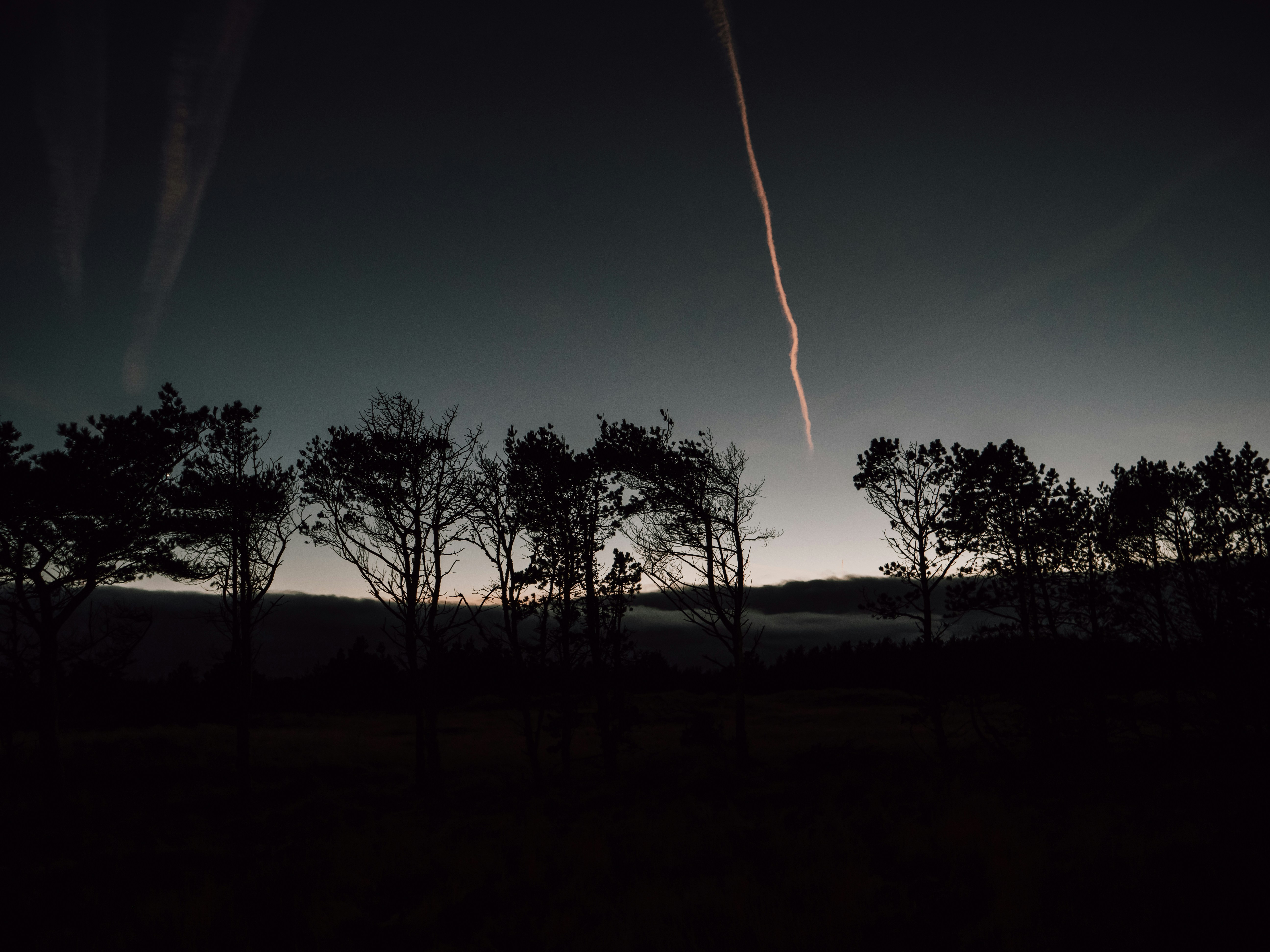 Silhouetted Trees Under a Streaked Twilight Sky