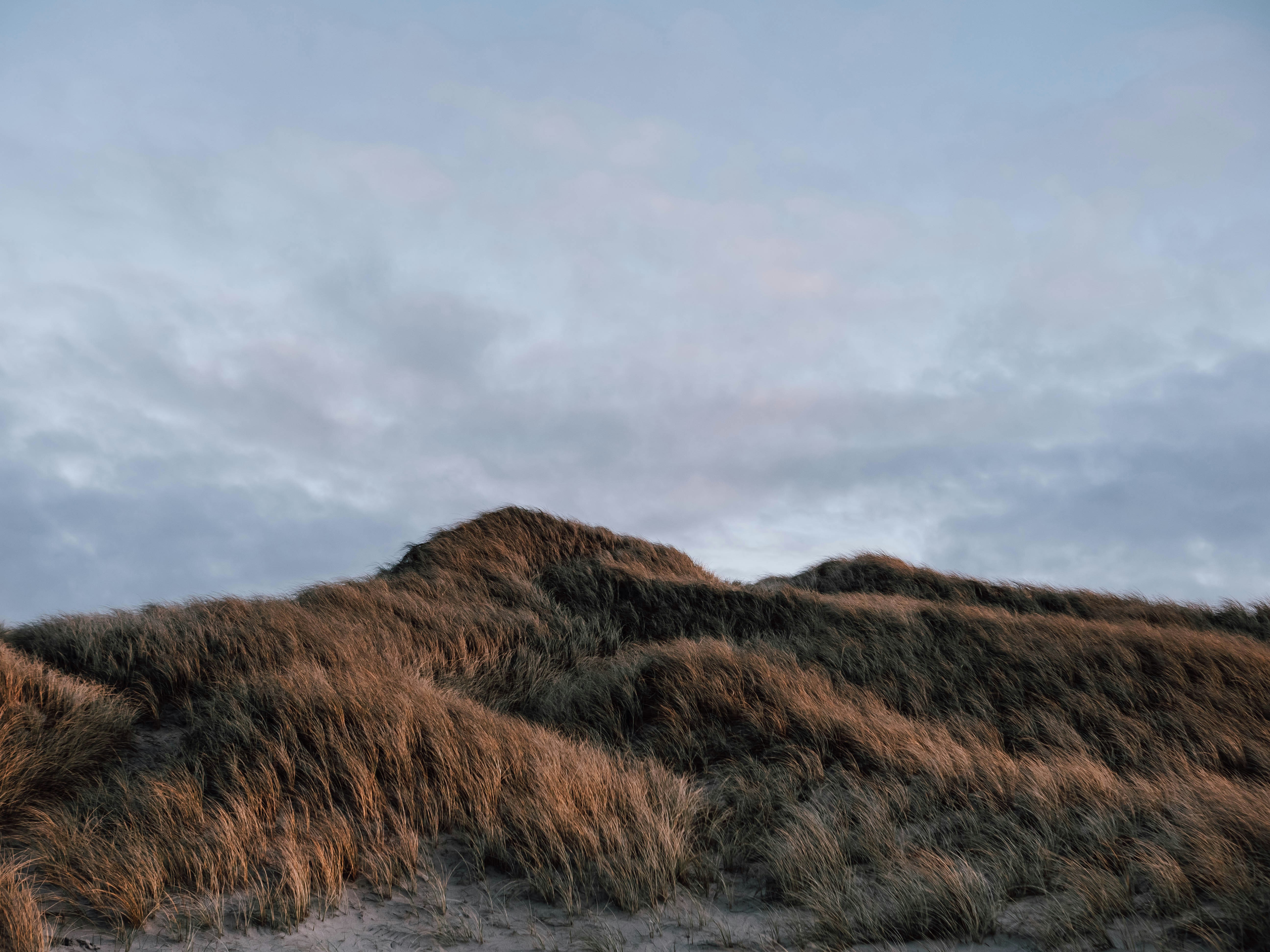 A grassy hill covered in brown grass under a cloudy sky