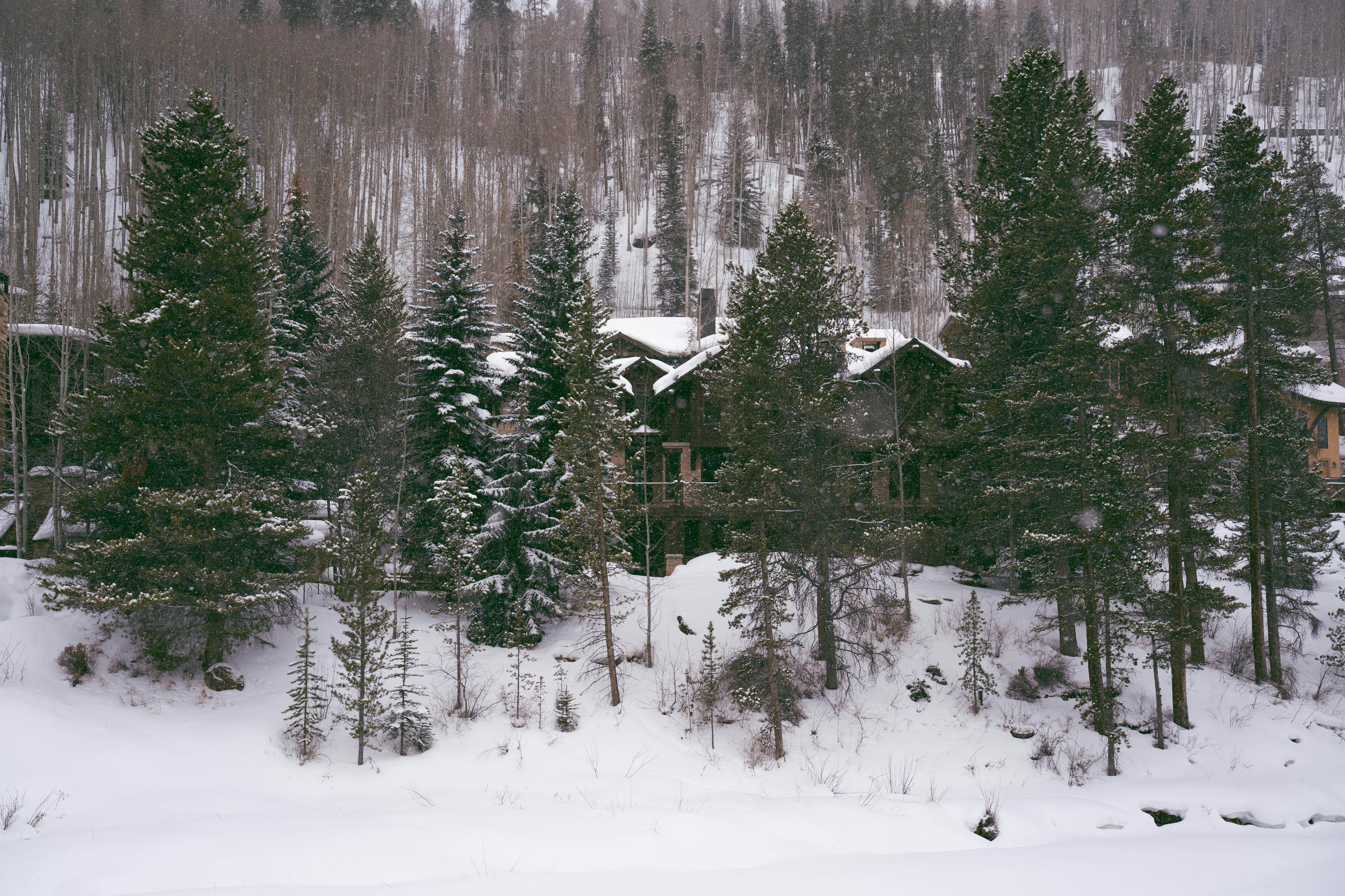 Whispers of Winter: A Hidden Retreat