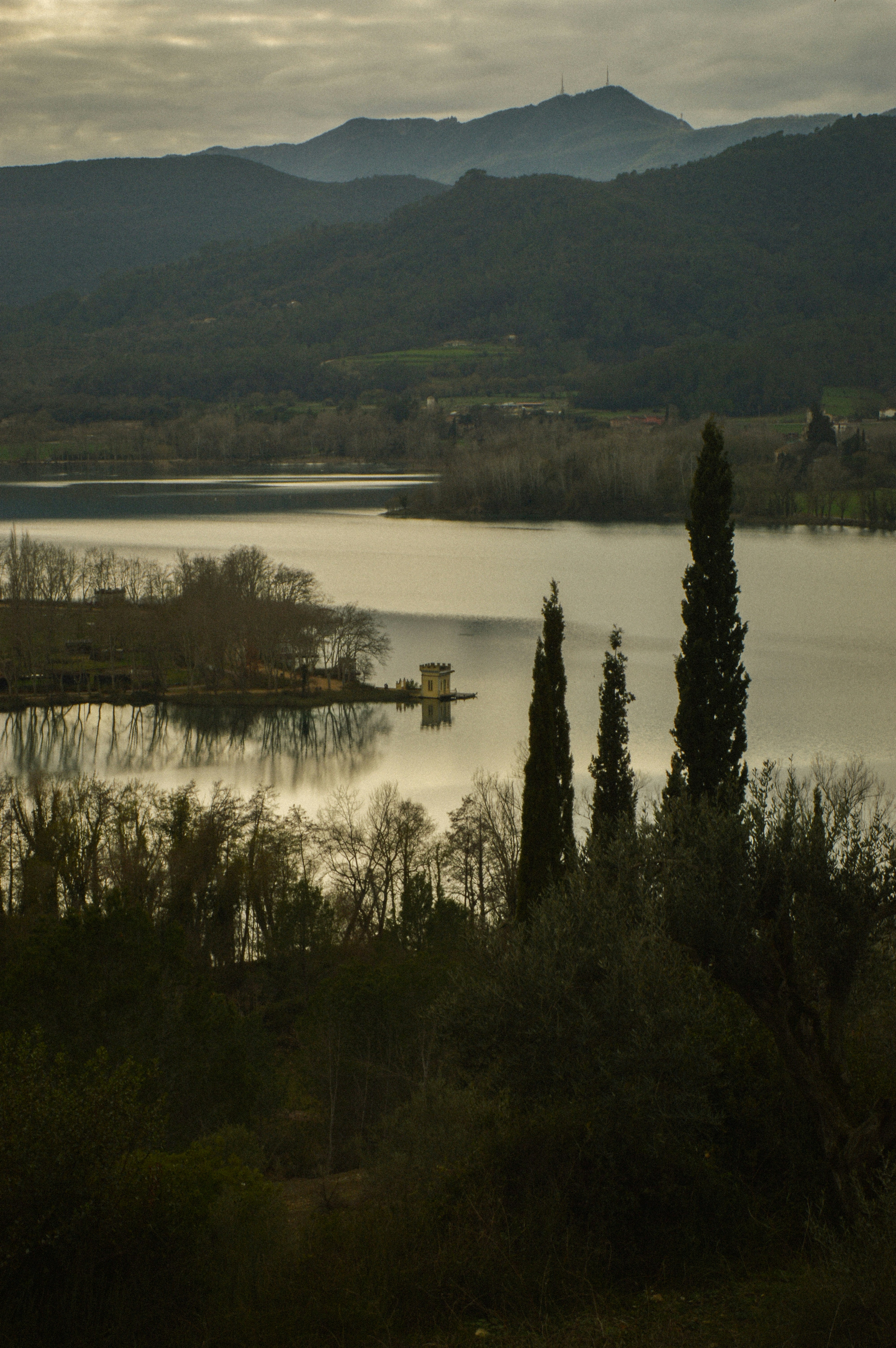 Reflective lake bordered by tall trees and distant mountains under a cloudy sky.
