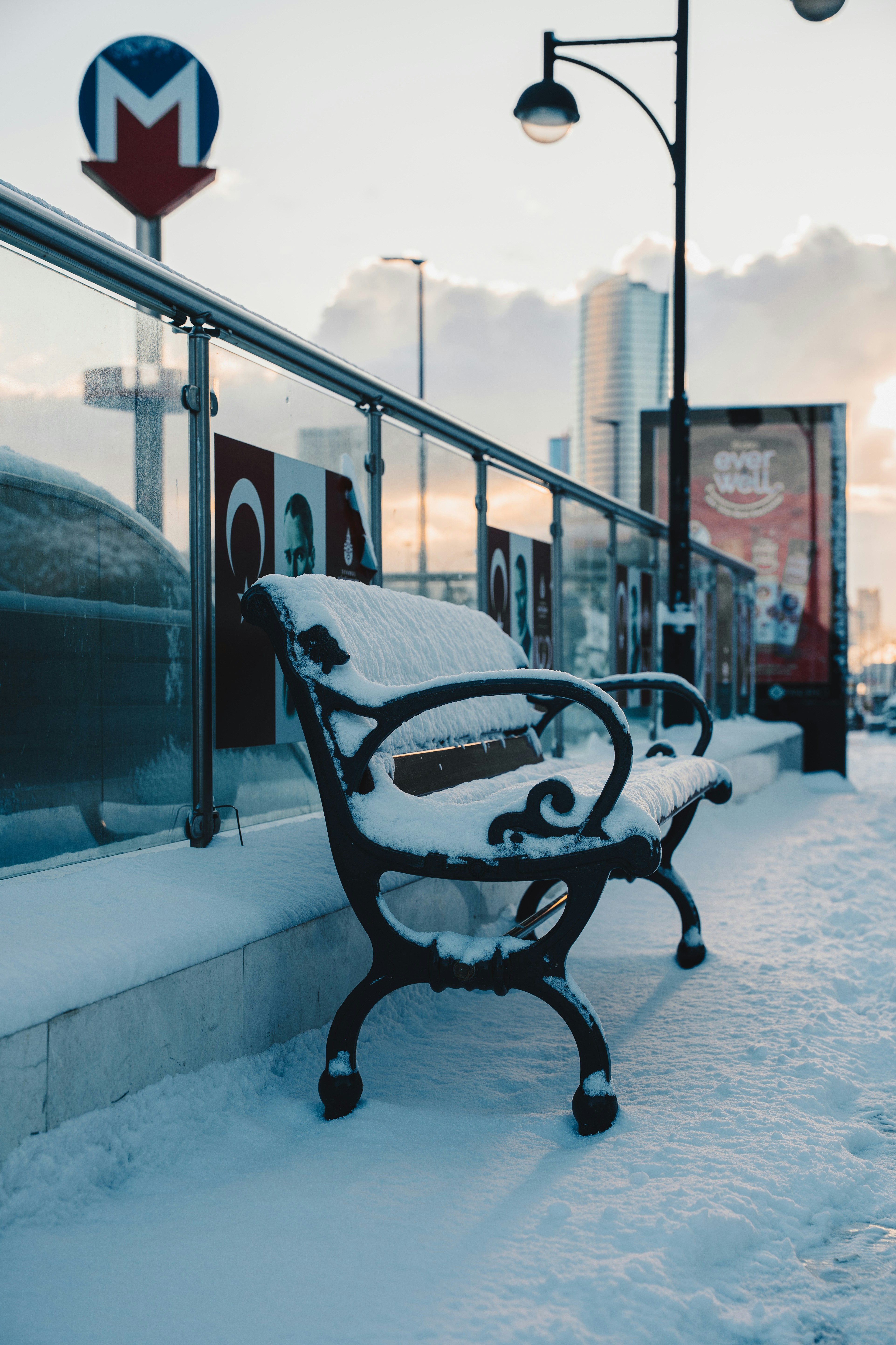 Whispers of Winter: A Snow-Covered Haven