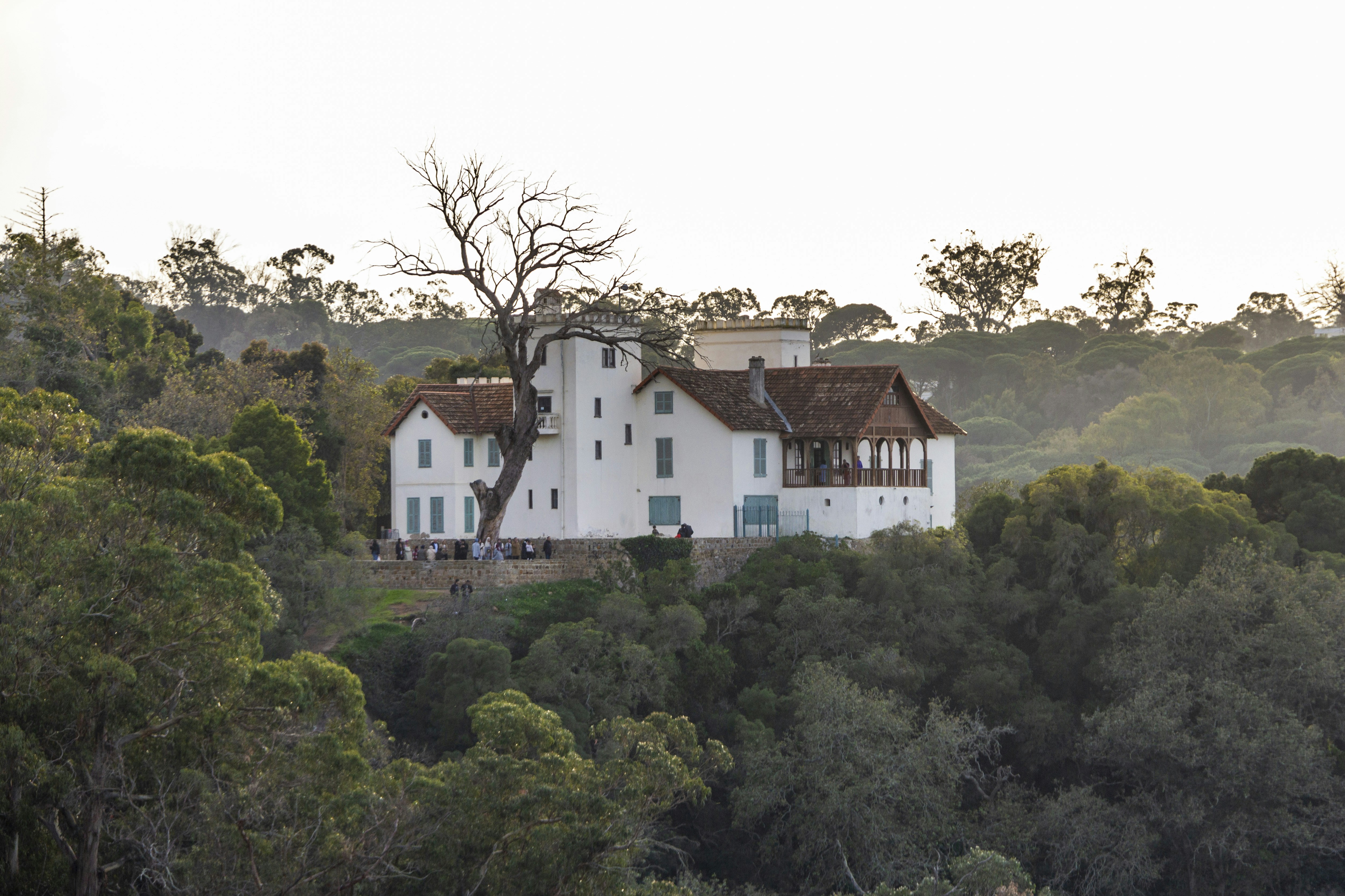 White villa nestled among dense green trees under a pale sky.