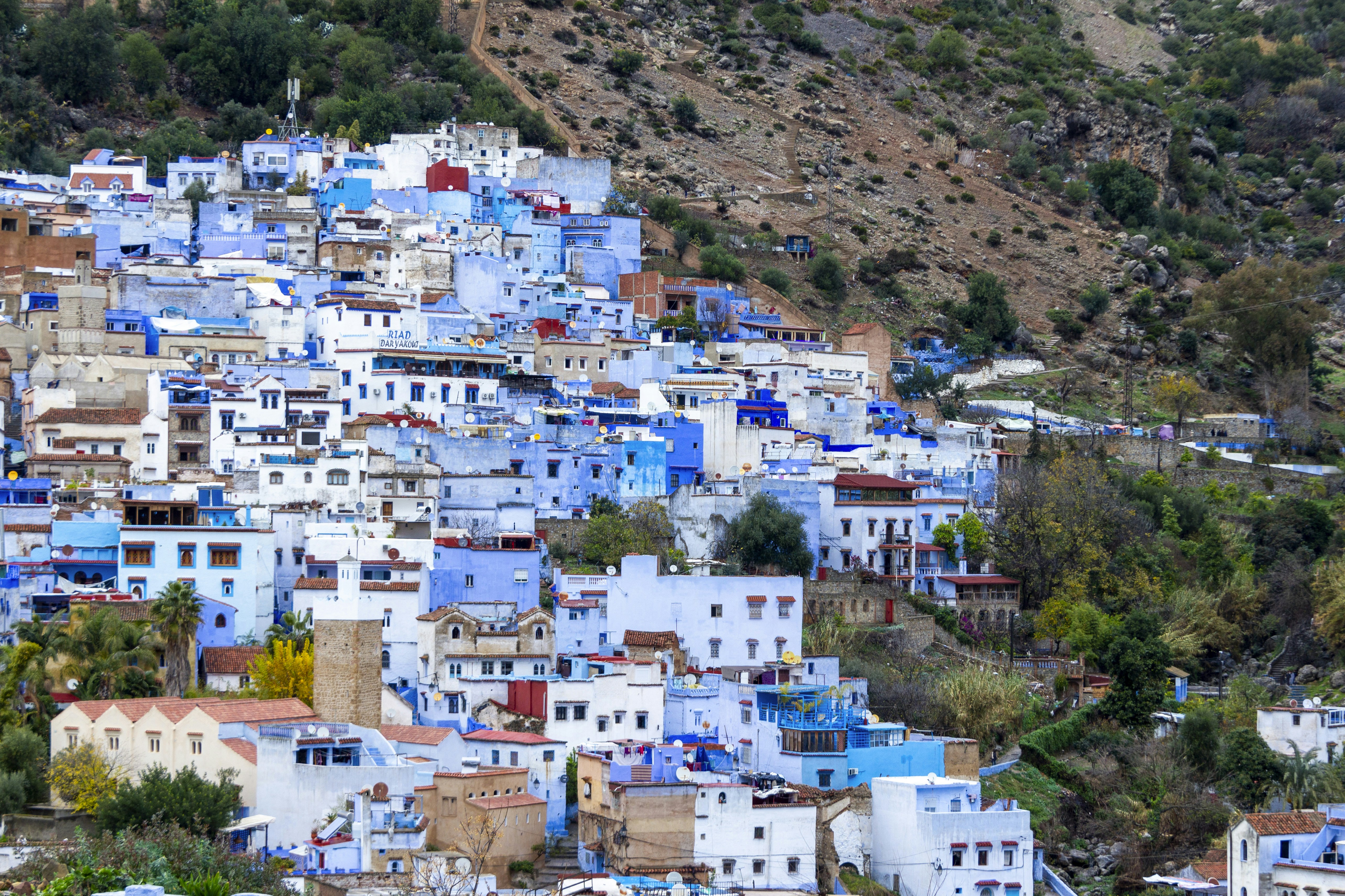 Hillside village with white and blue buildings, surrounded by lush greenery.