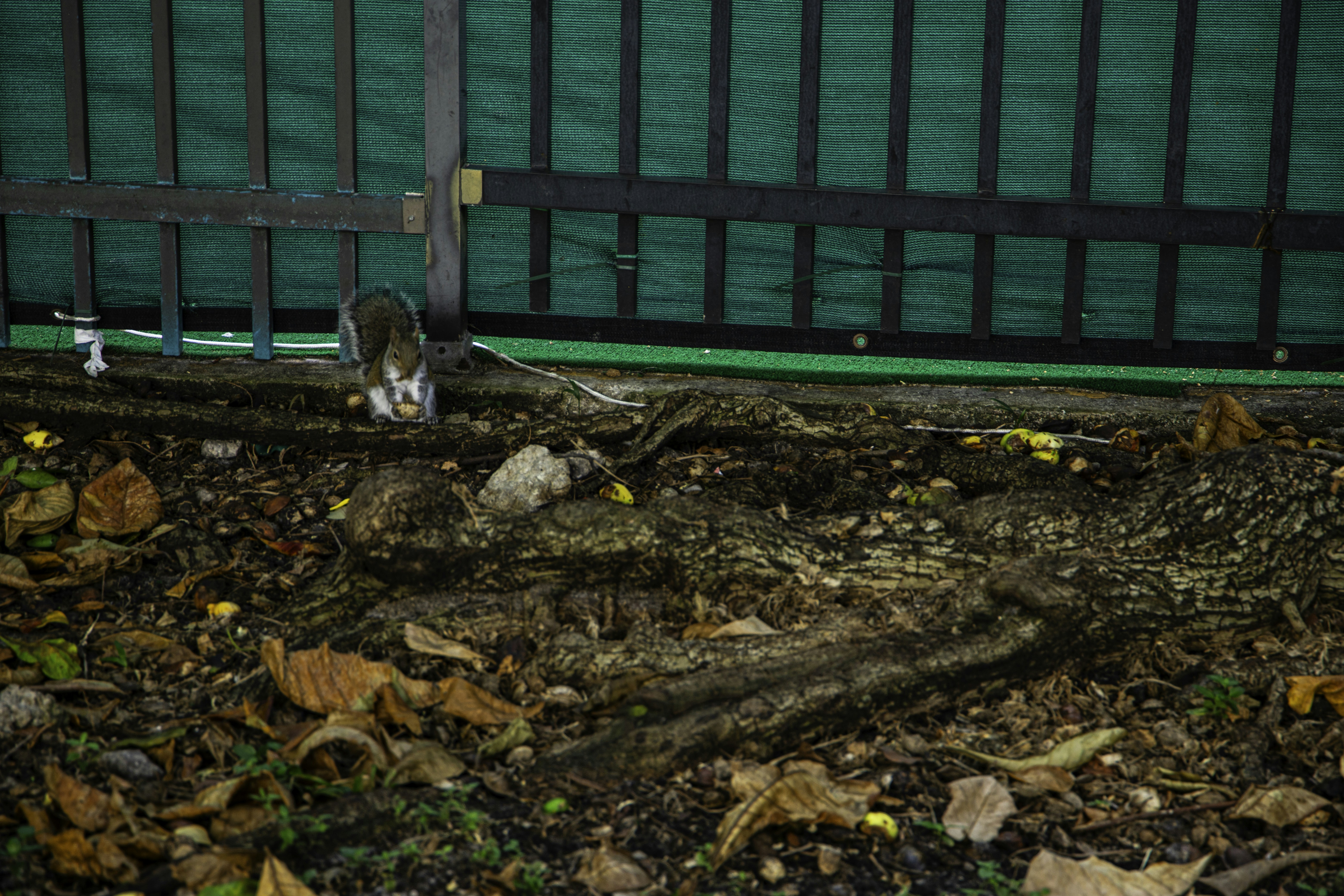 Photo by Walter Martin with Canon EOS 6D Mark II