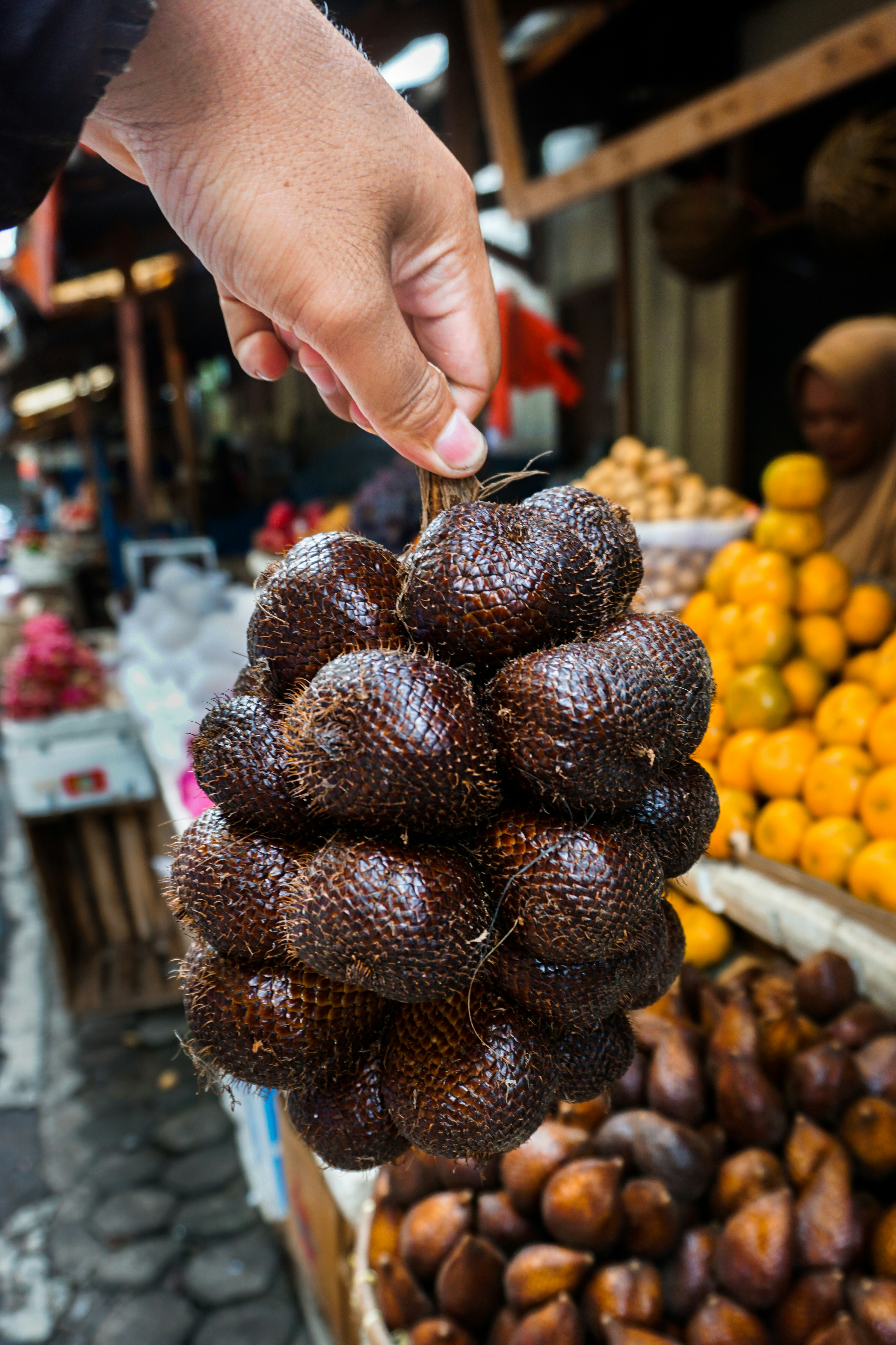 A Tropical Delight: The Salak Experience