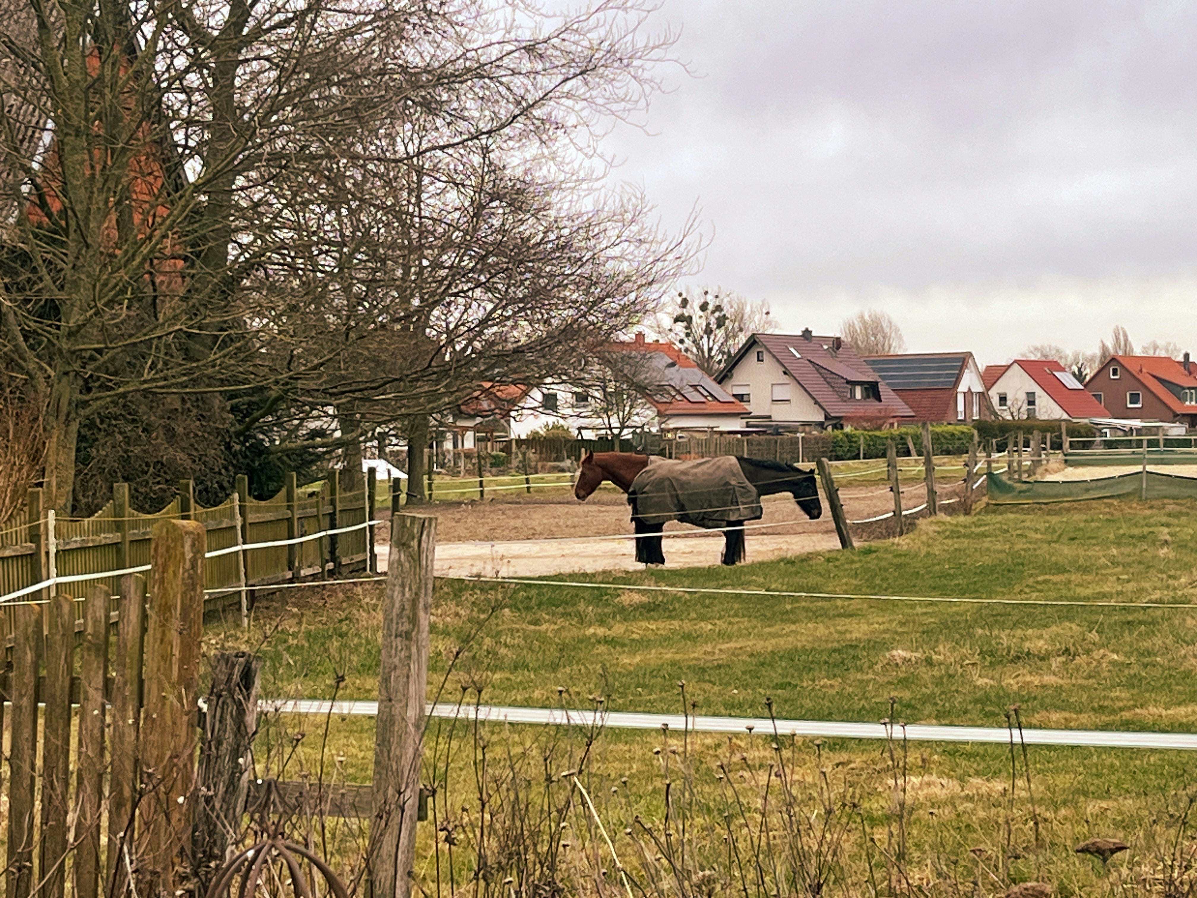 Serenity at the Edge of the VillageMARIOLA GROBELSKA