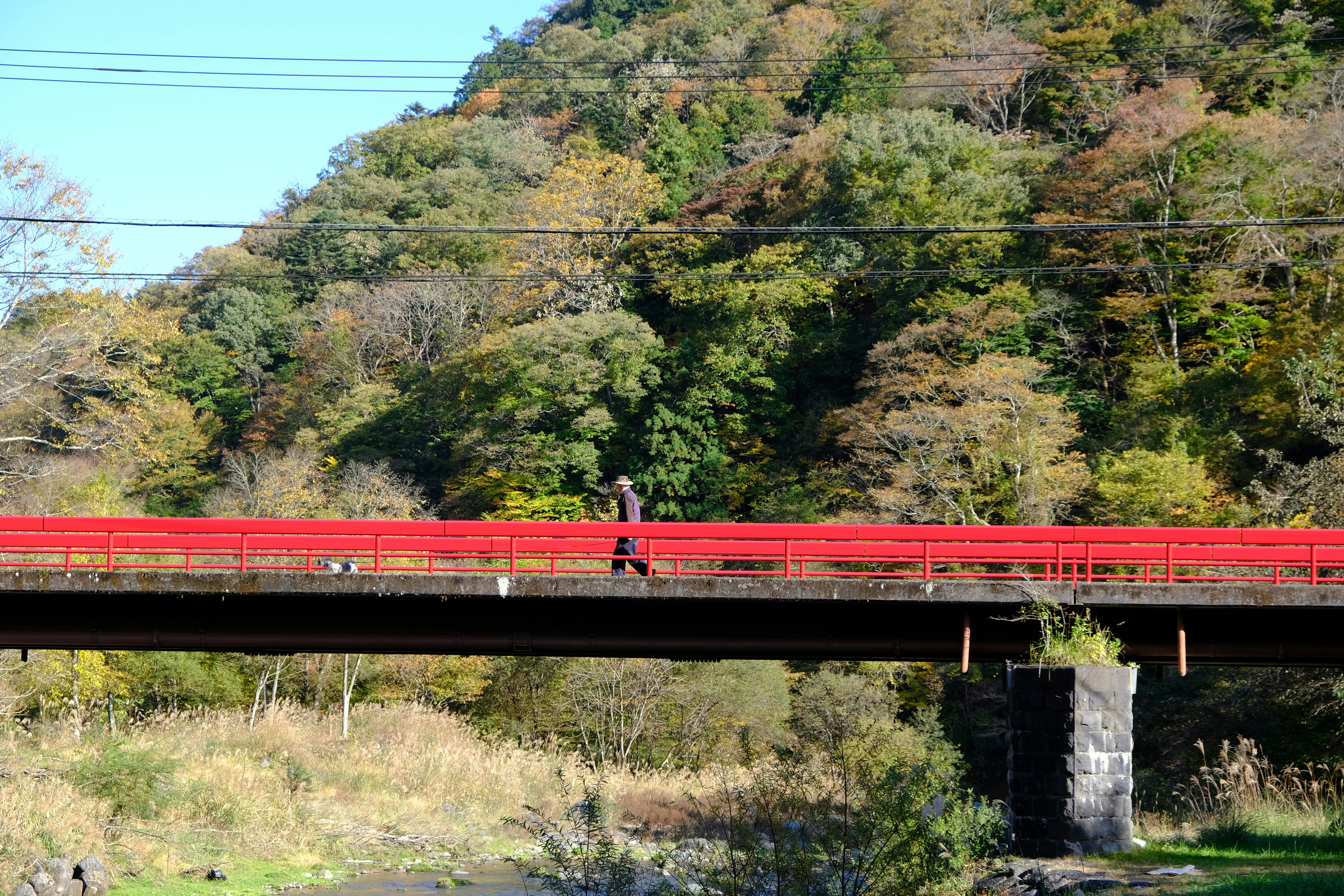 A long red train traveling over a bridge photo – Free Nikko Image on ...