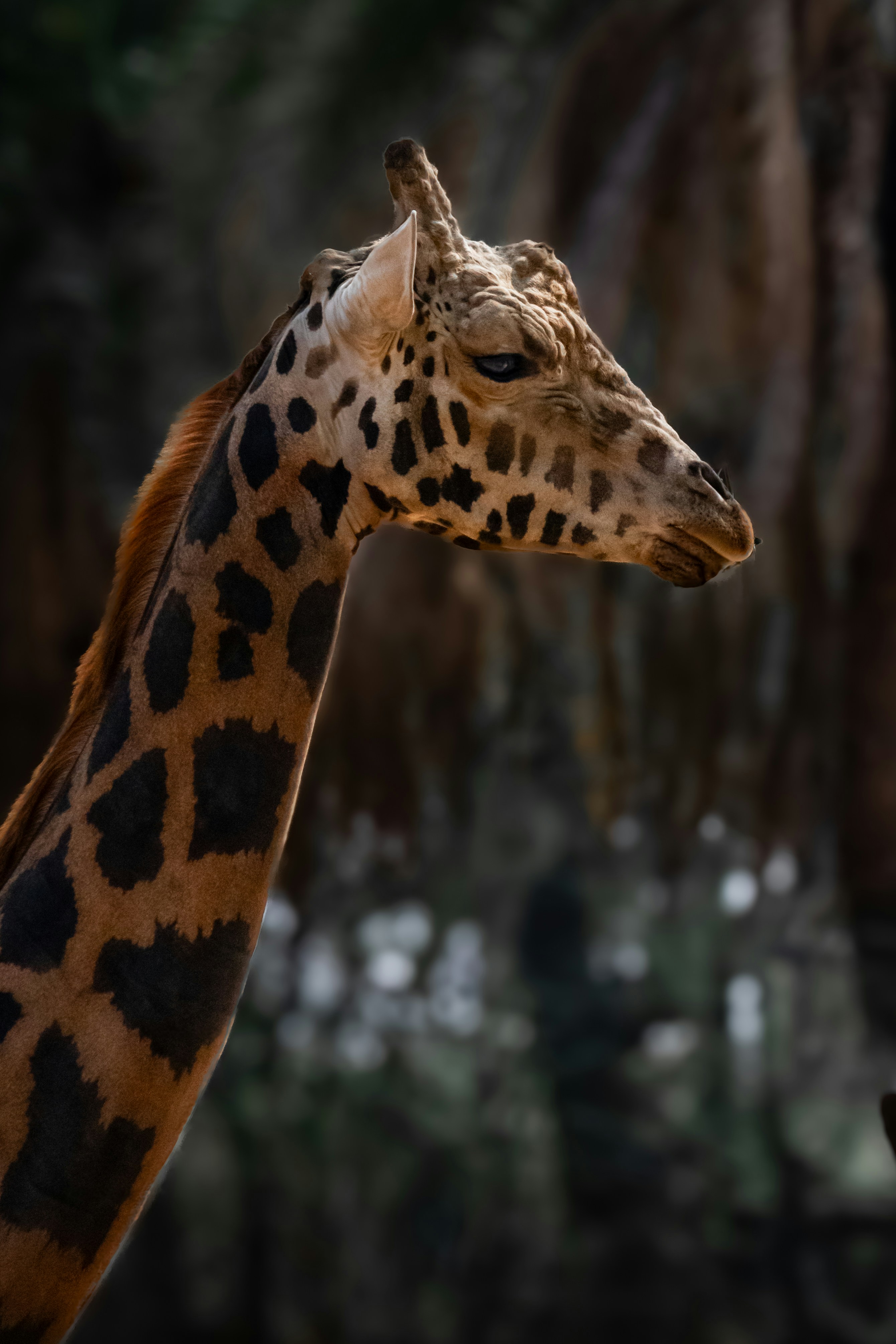 Sample photo from Canon EOS R10