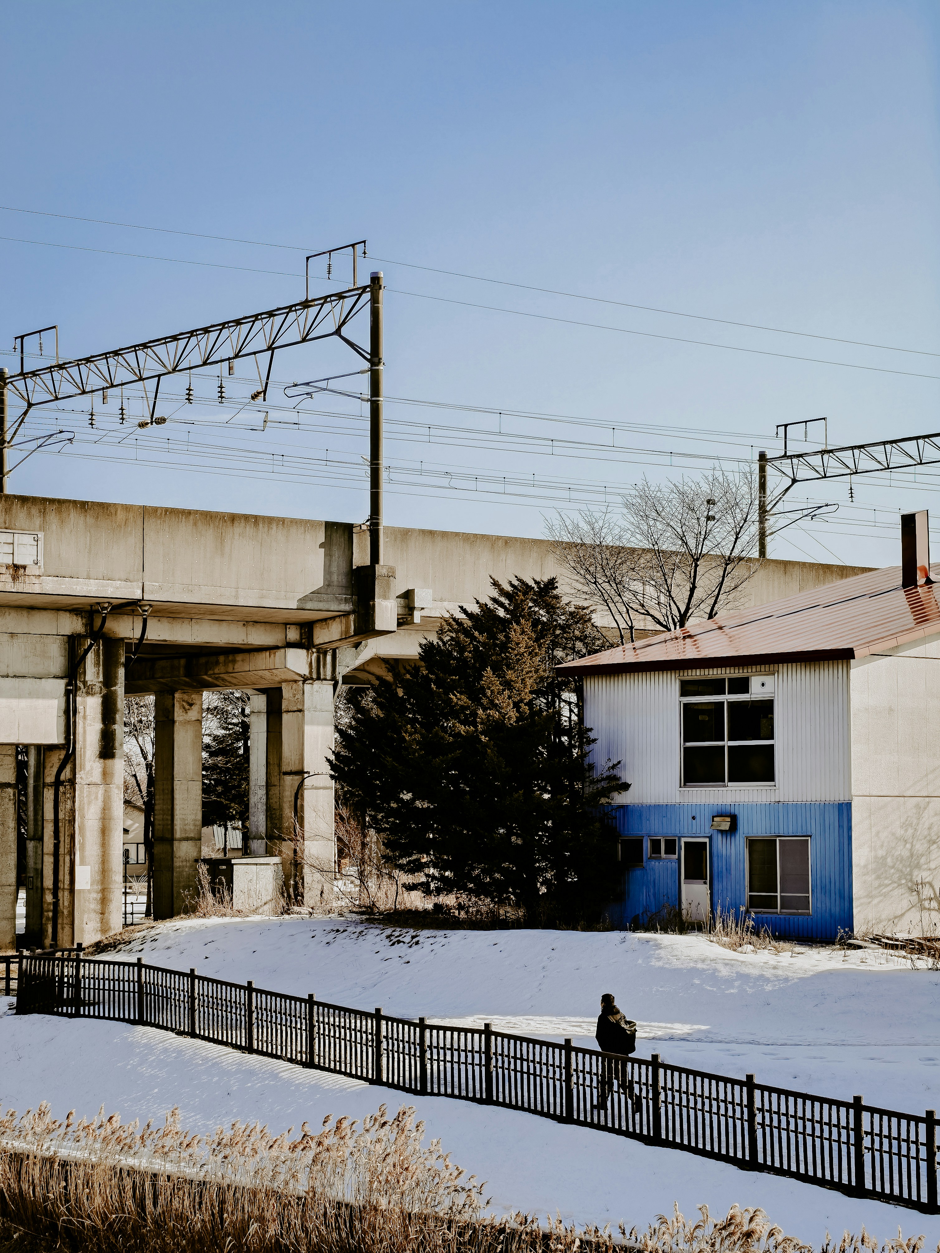 Photo by Chintya Akemi Keirayuki with Oppo Find X8 Pro