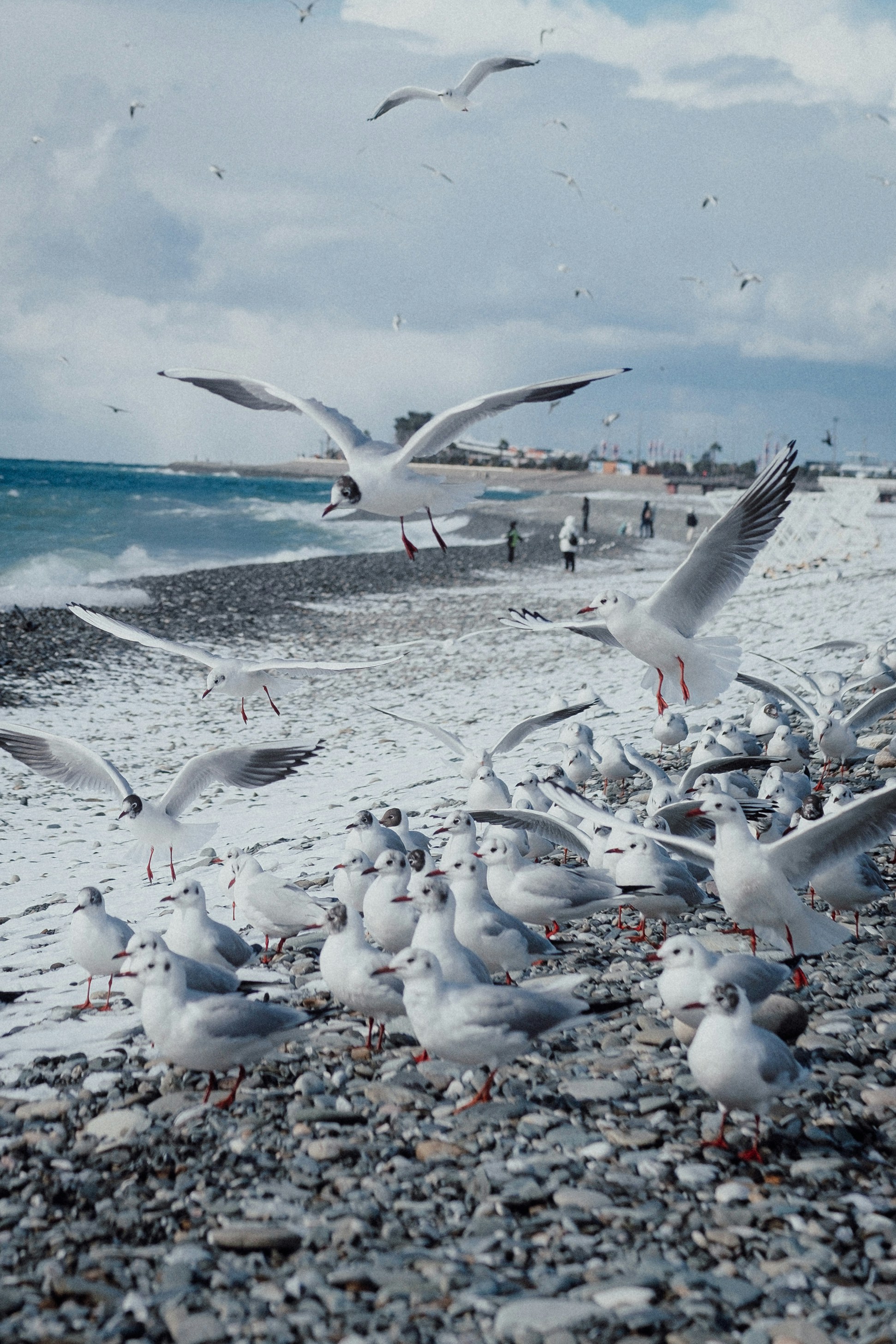 Photo by Valentina Kondrasyuk with Fujifilm X-T4