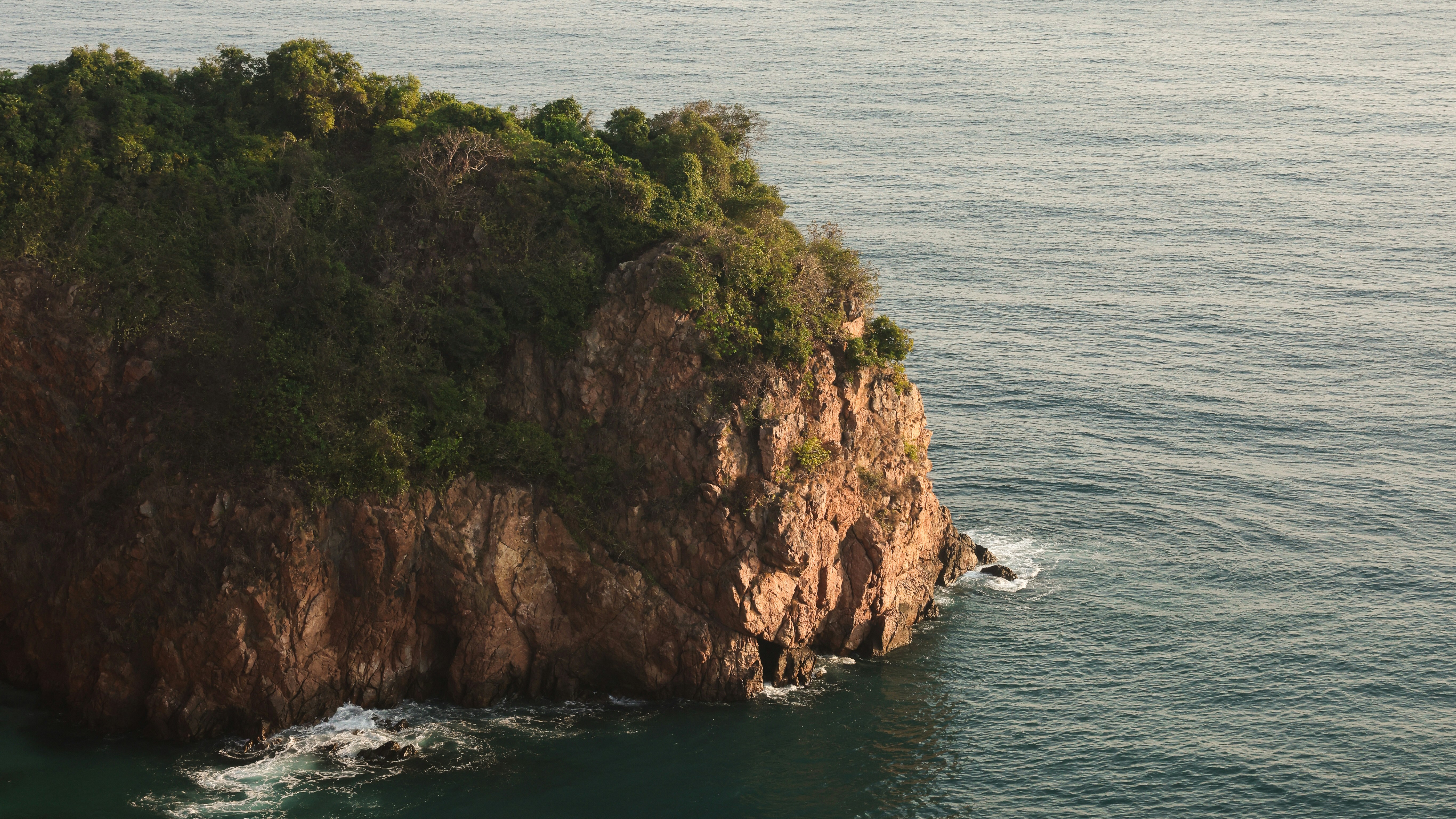 Lush green cliffside meeting calm ocean waters under gentle sunlight.