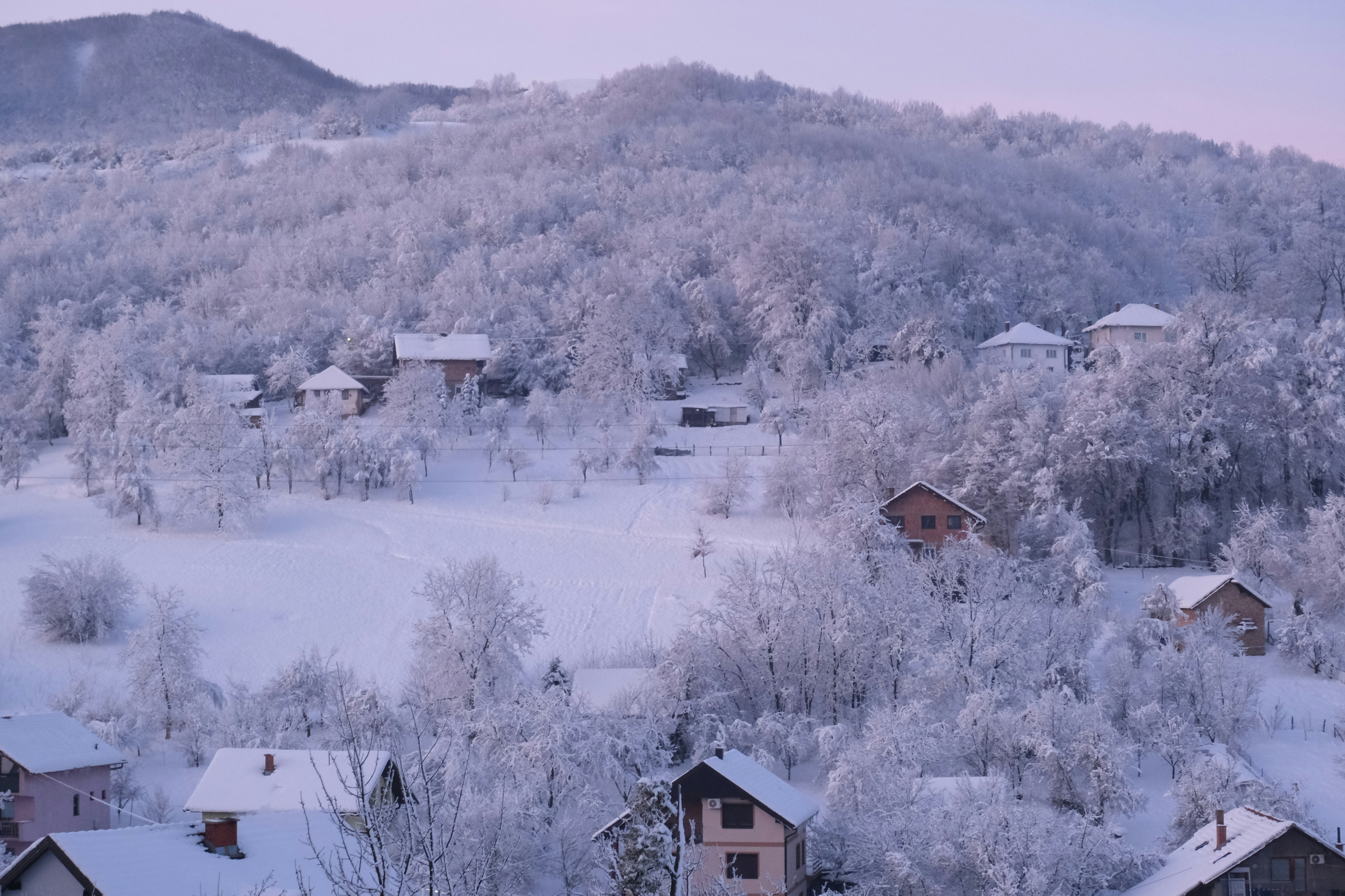 Snow-covered village nestled among frosted trees at dawn with a soft pink sky.